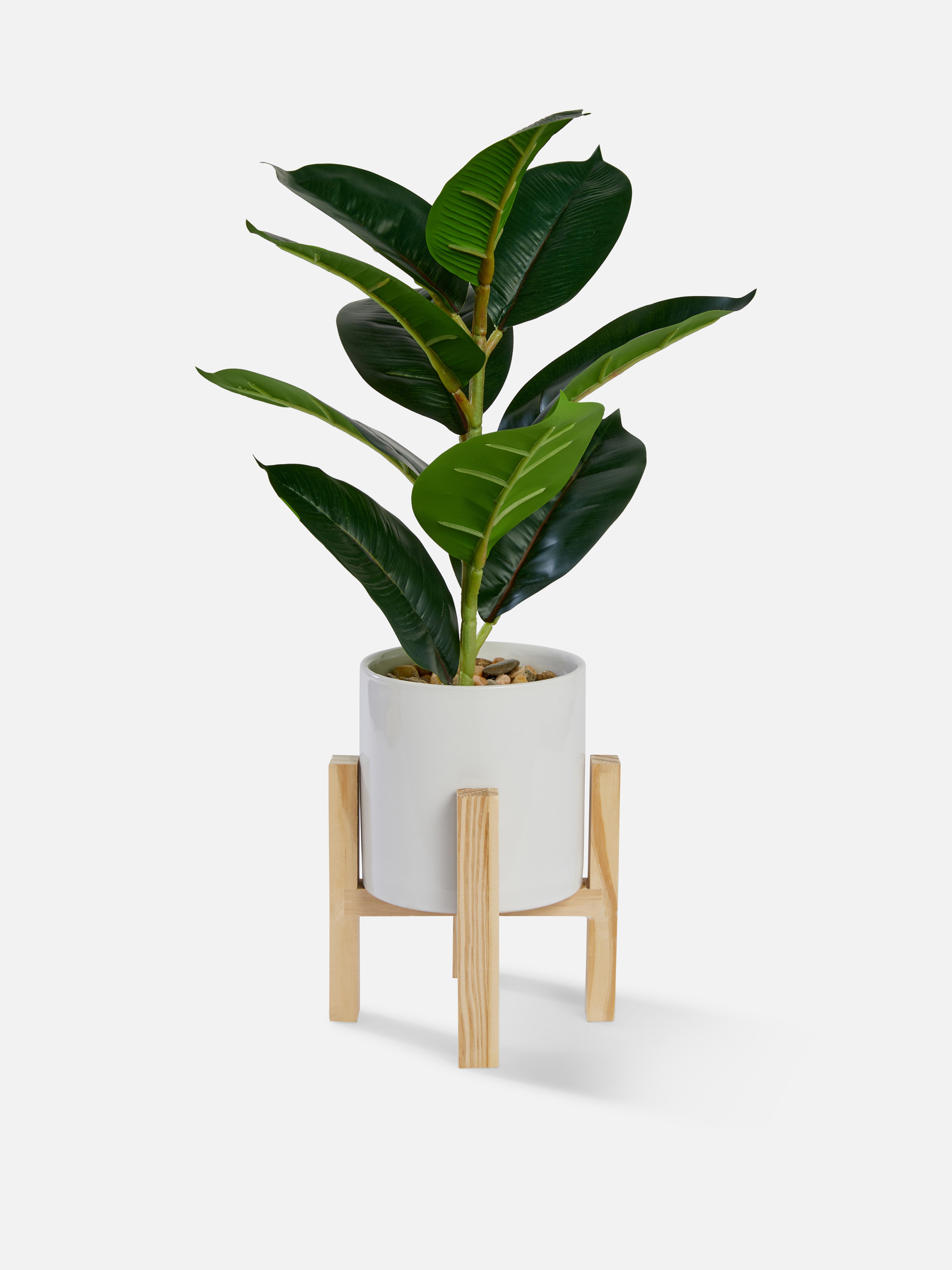 Plant Pots & Stands | Primark