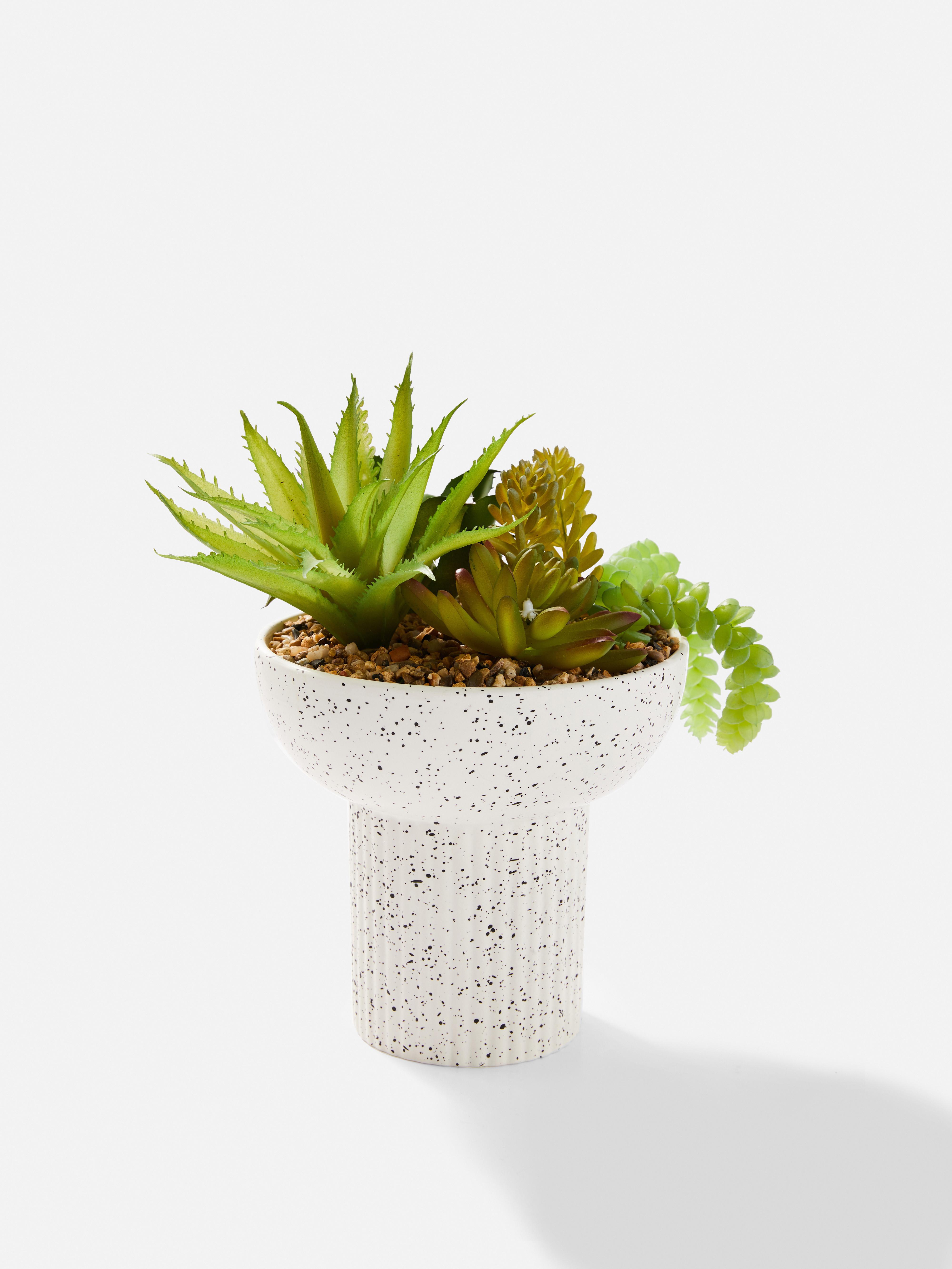 Faux Plants & Flowers | Primark