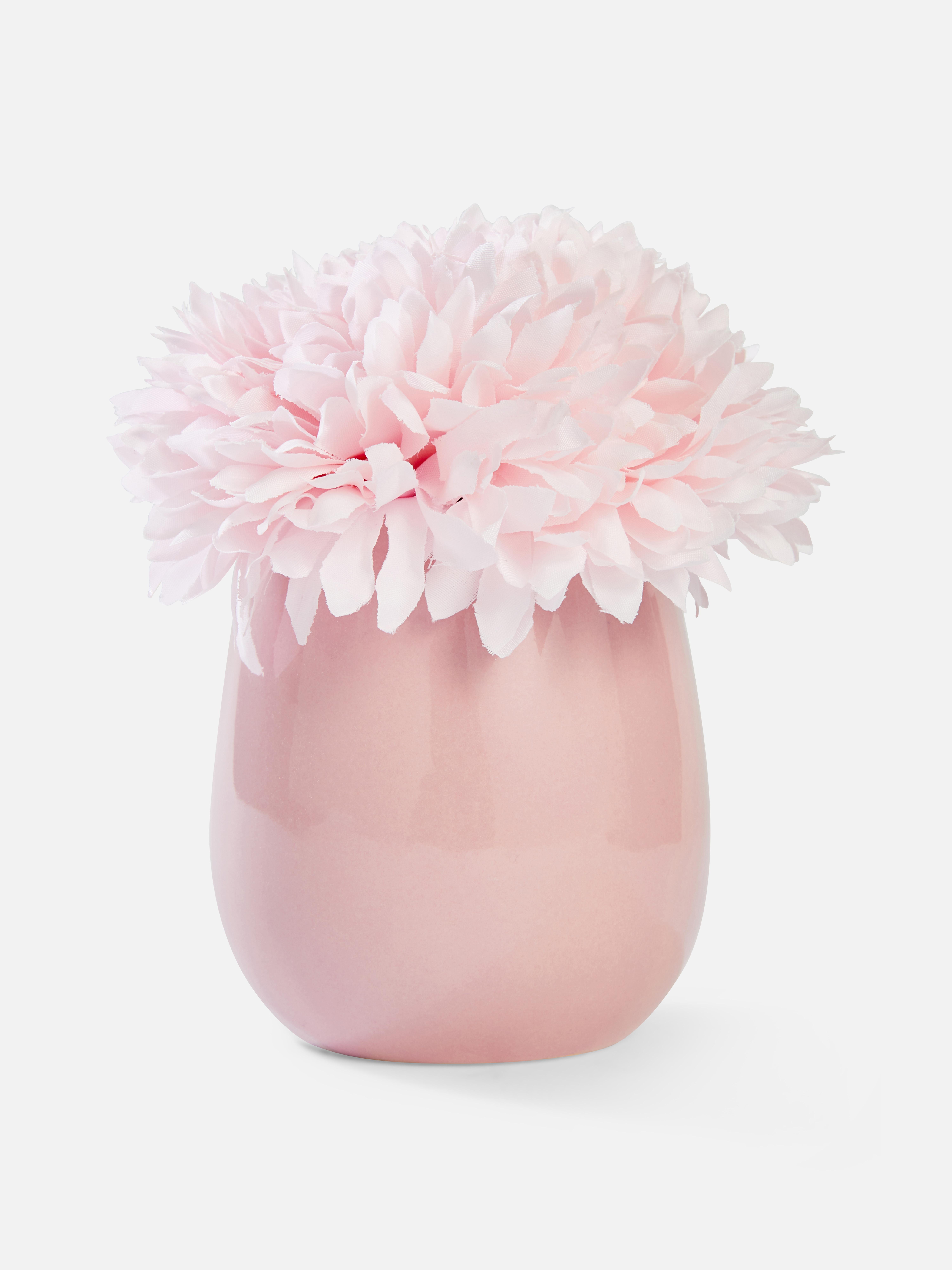 Plant Pots & Stands | Primark