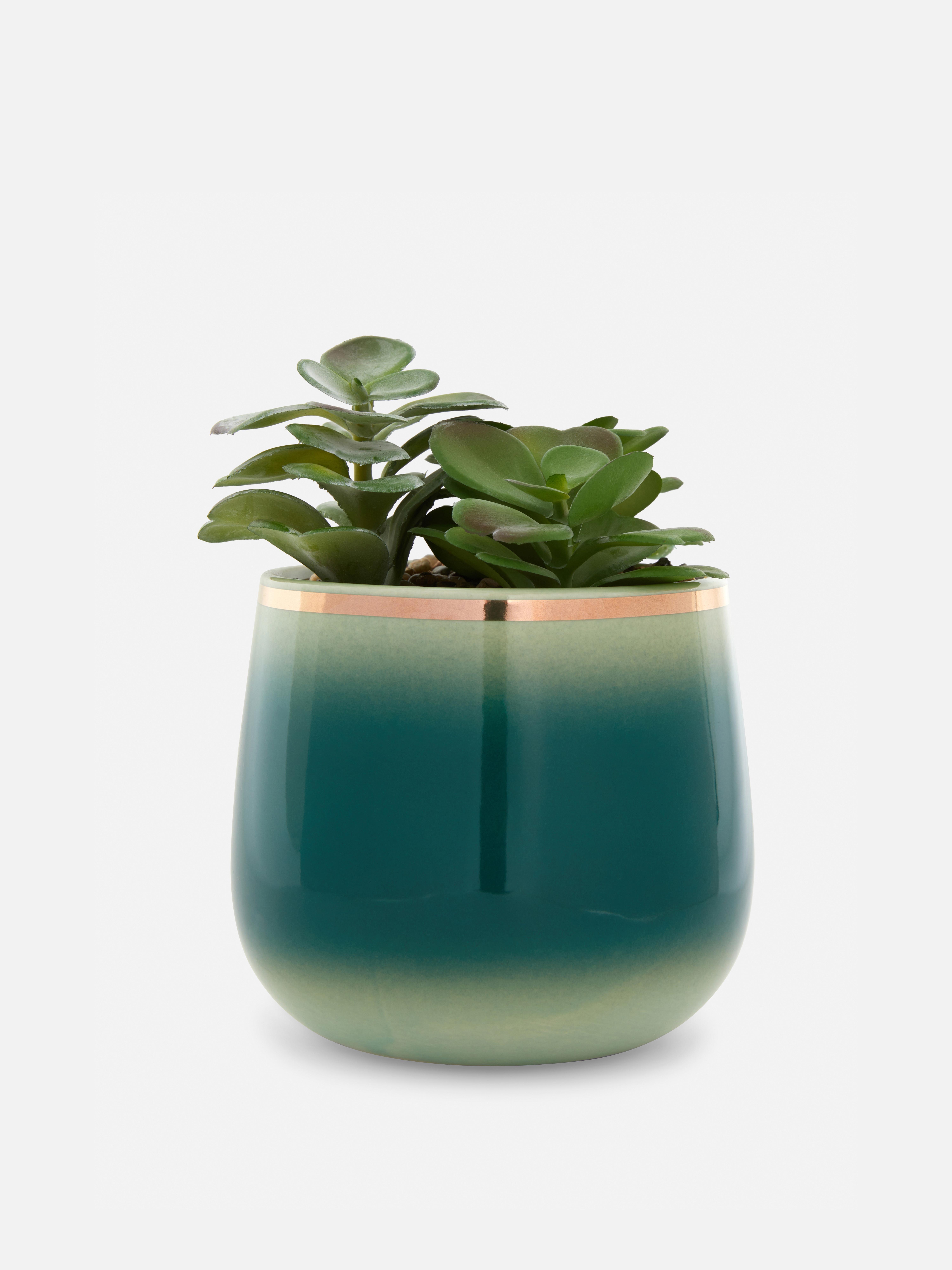 Plant Pots & Planters | Plant Stands & Vases | Primark