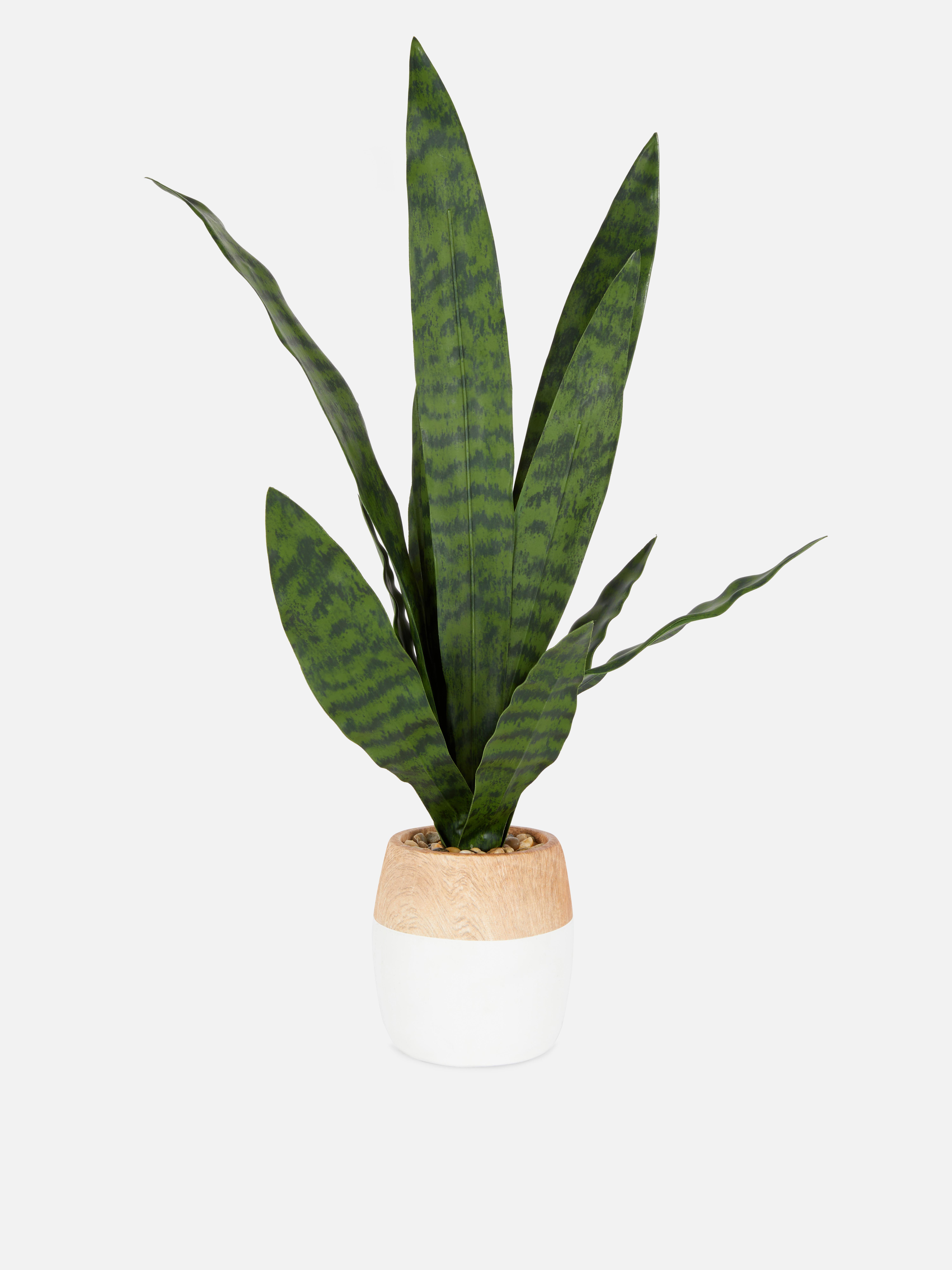 Plant Pots & Planters | Plant Stands & Vases | Primark