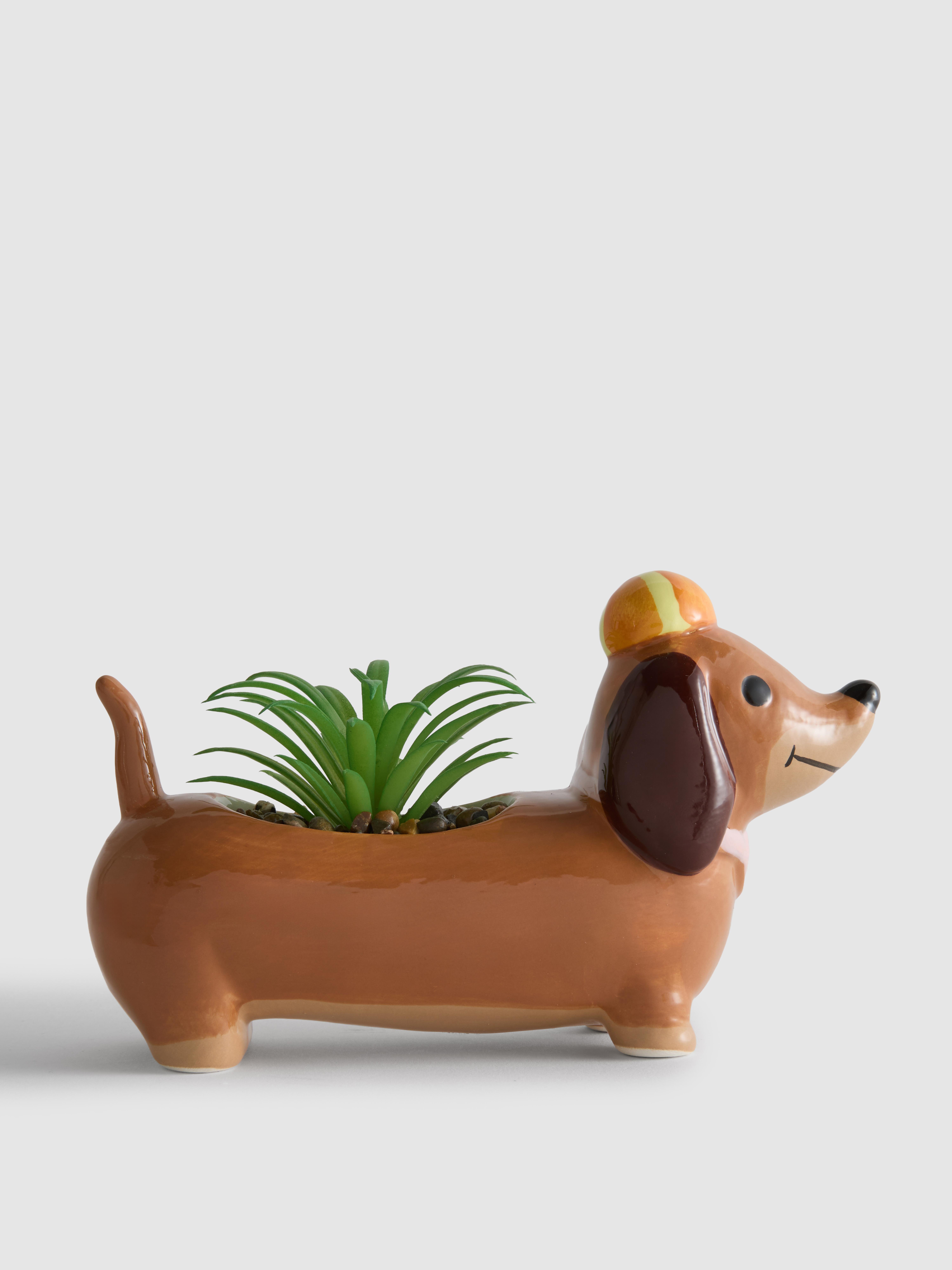 Brown Faux Succulent In Dachshund Pot | Primark