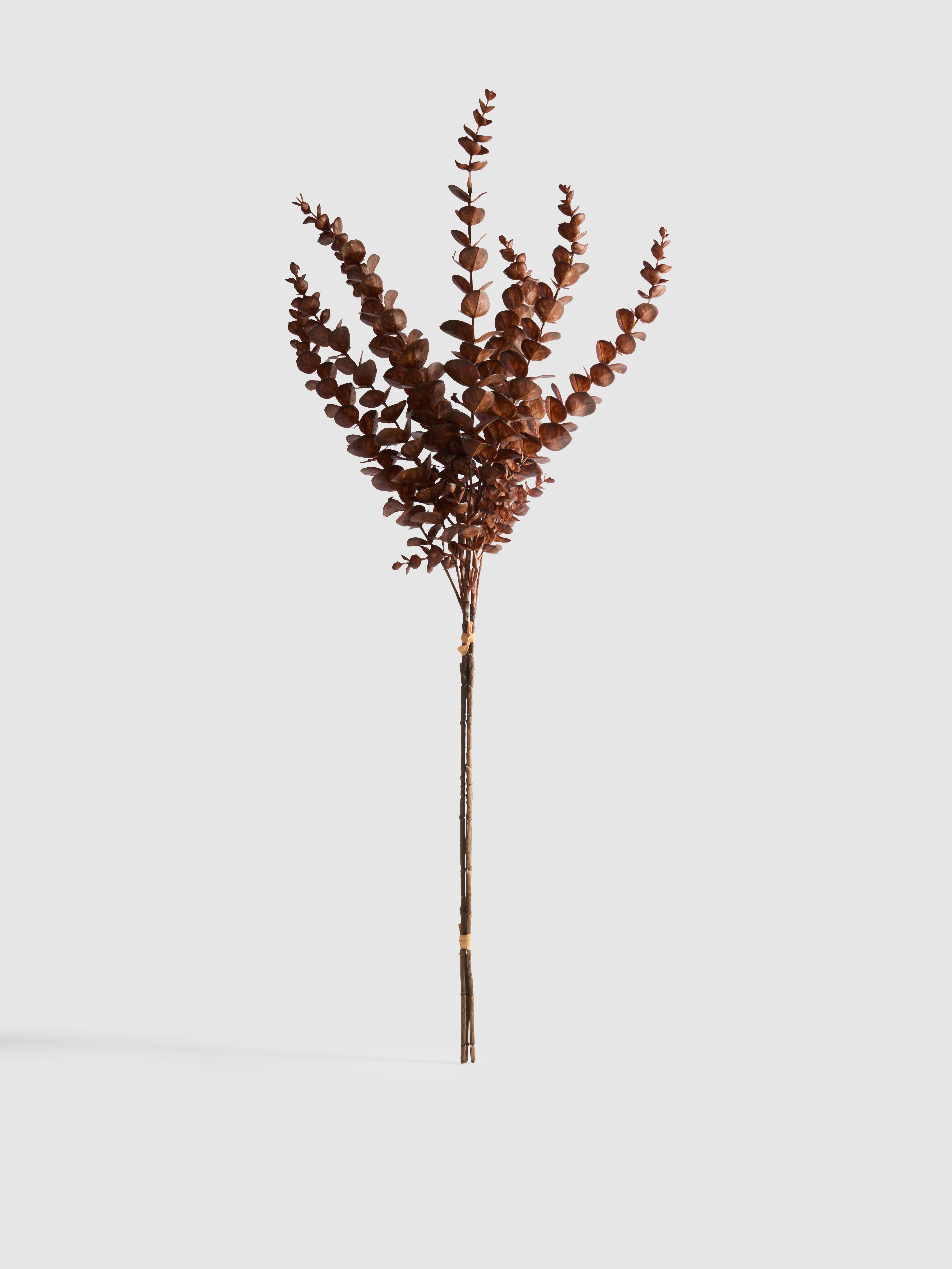 Brown Single Stem Faux Eucalyptus Plant | Penneys