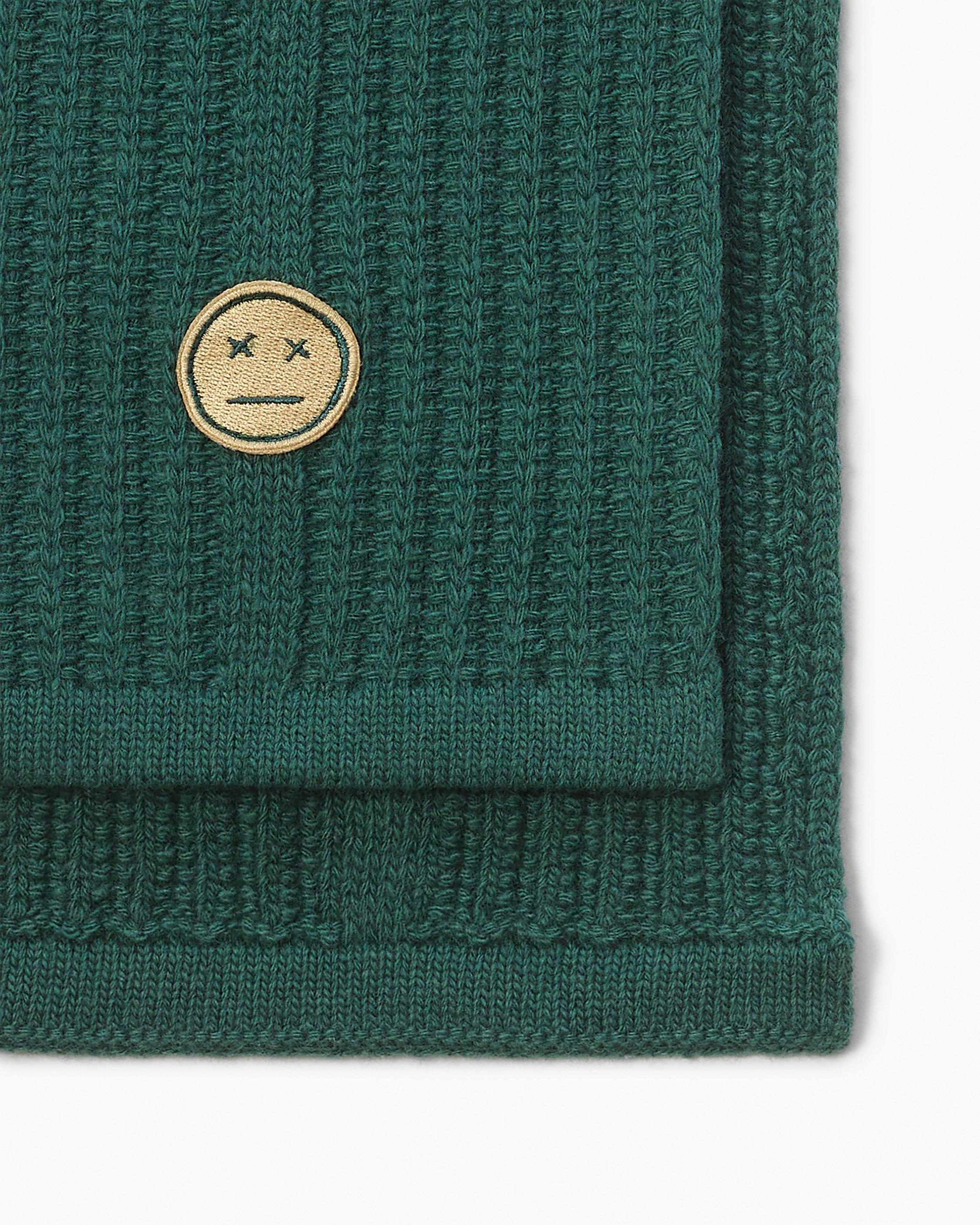 Sour Face Wool Scarf - Pine Multi | rag & bone