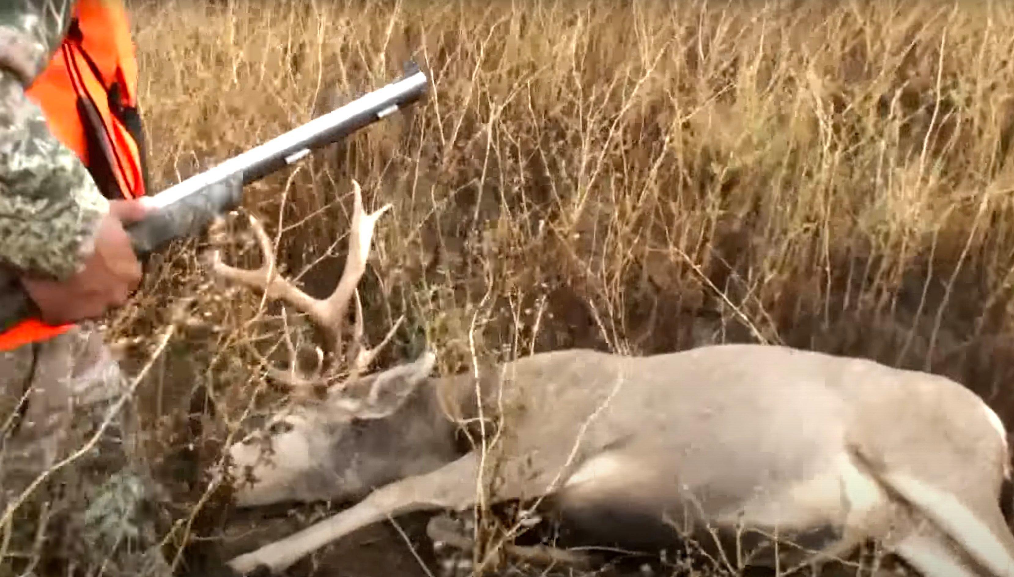 Gored by a Buck: Whitetails That Fought Back - Realtree Camo