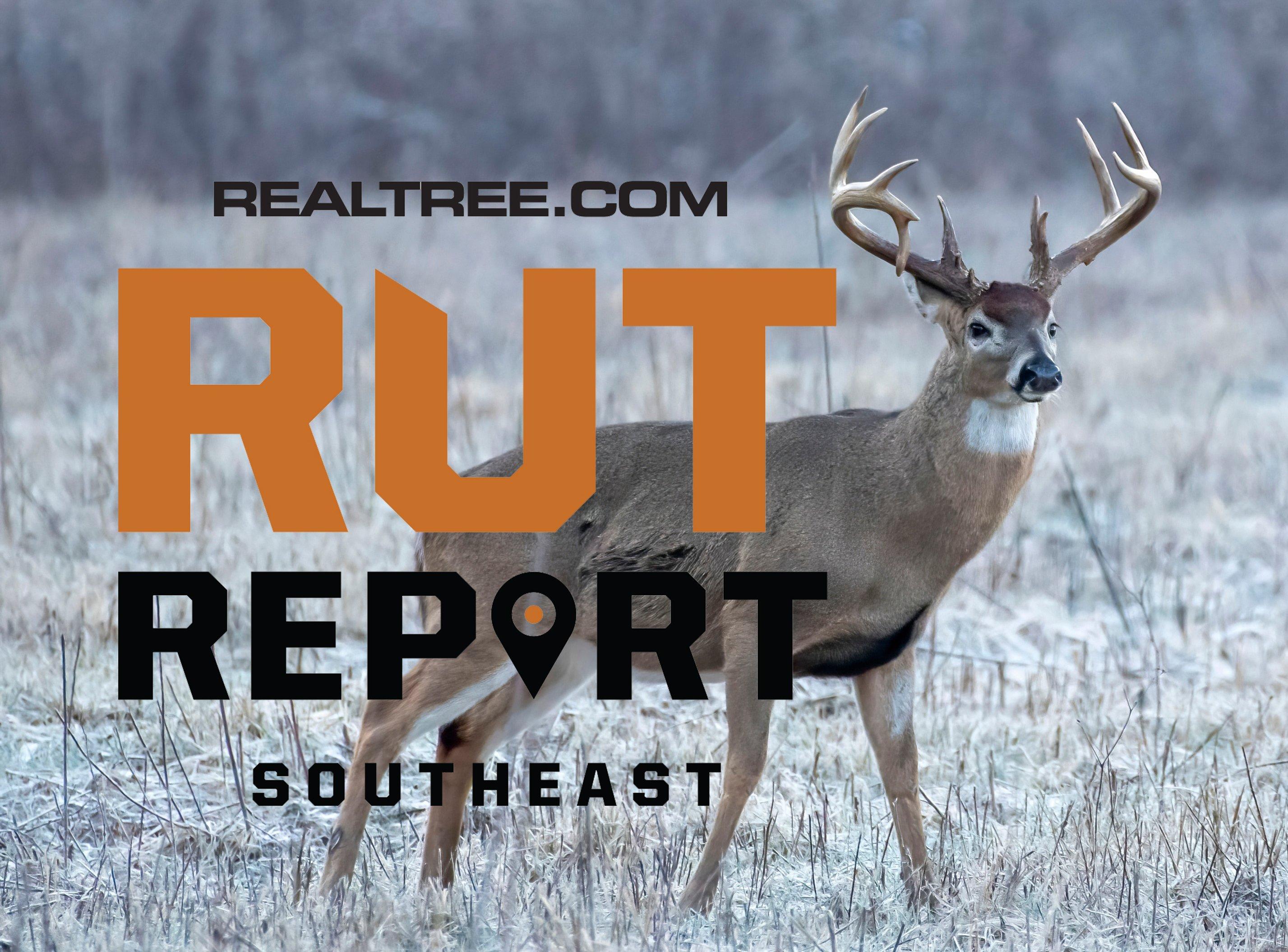 Secondary Rut Signs in Upper South - Realtree Camo