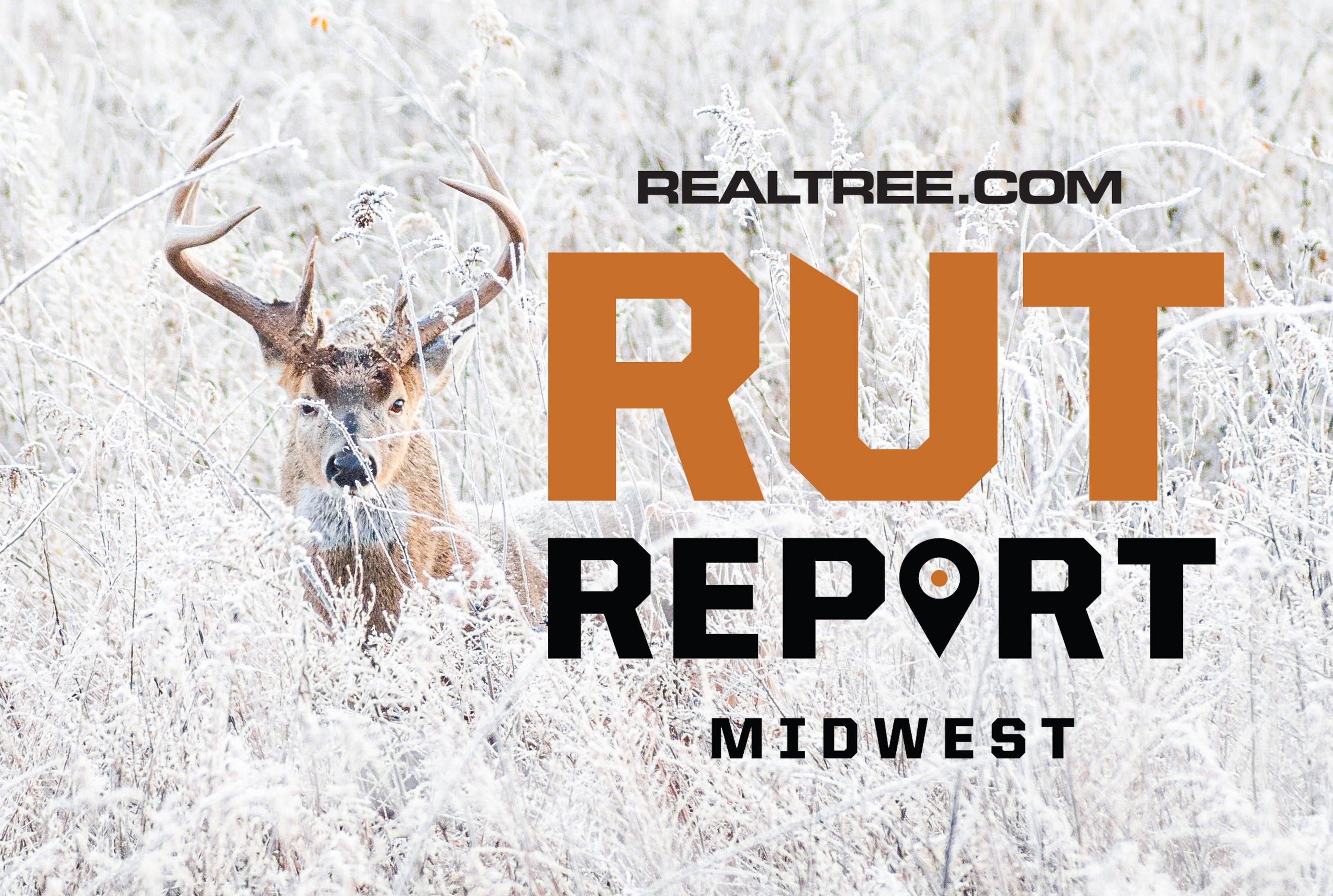 The Post-Rut Is Here in the Midwest - Realtree Camo