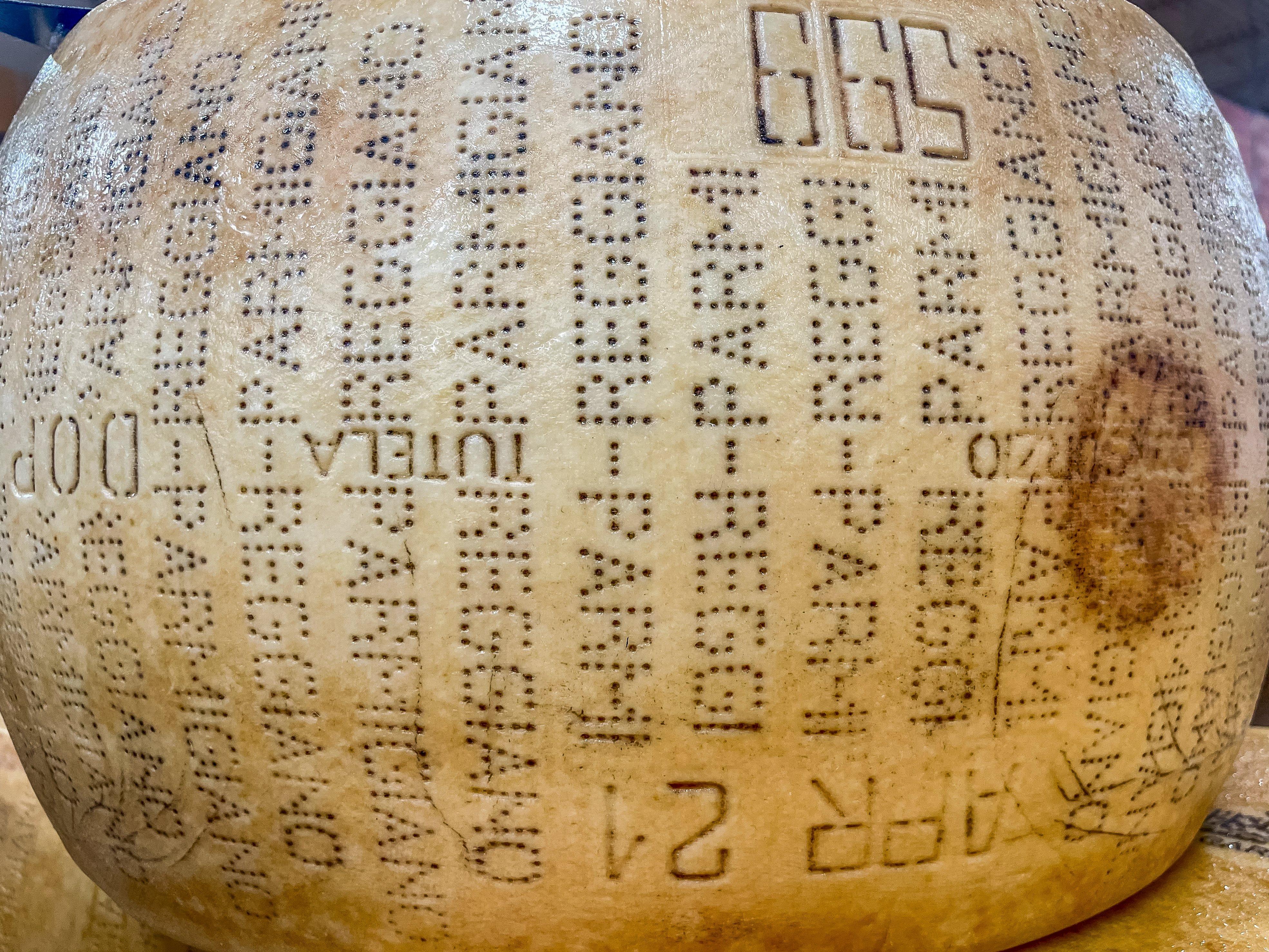 Italian Style Fettuccine Alfredo with Turkey Tenderloin - Realtree Camo