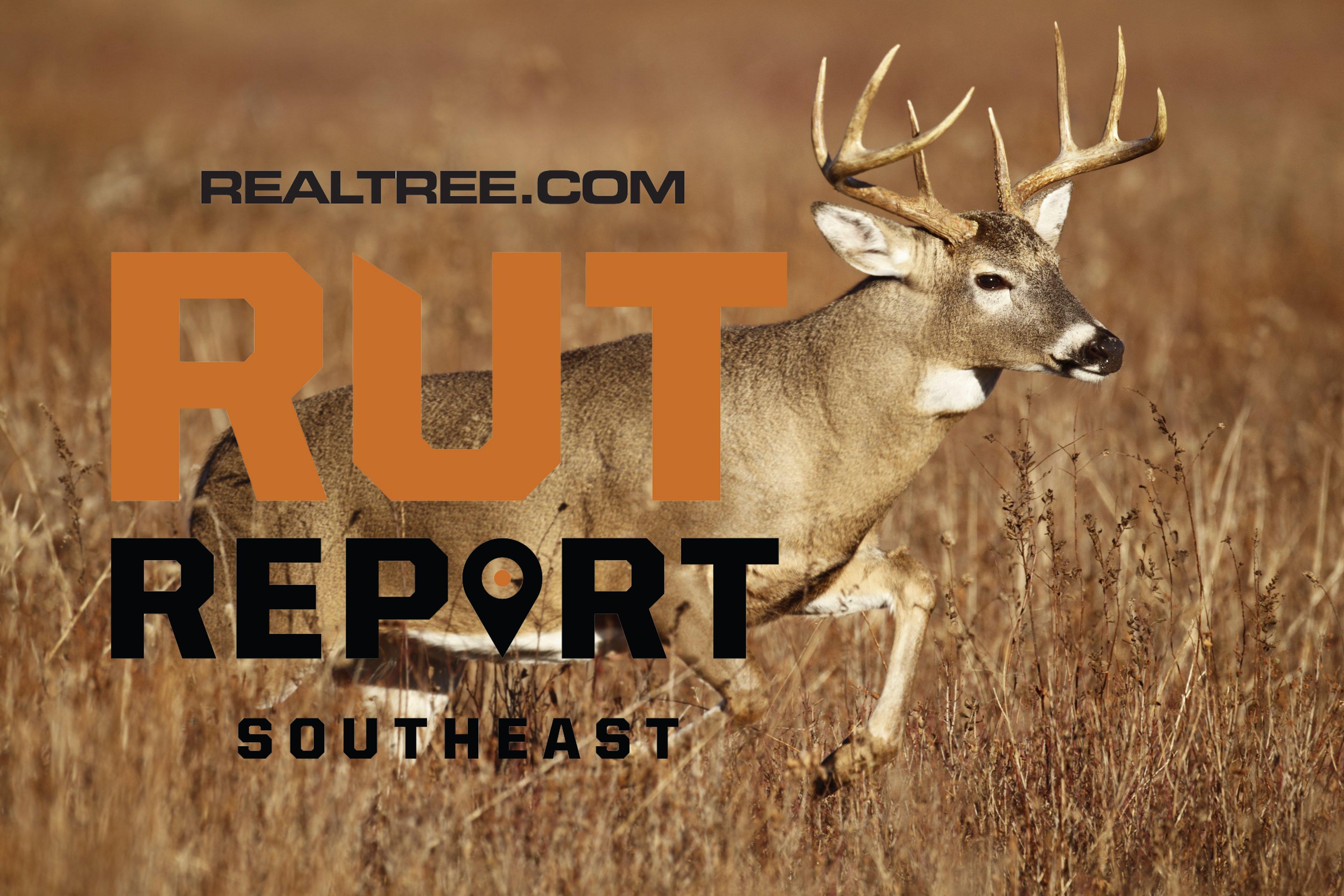 Looking Ahead to Peak Rut in Alabama, Louisiana - Realtree Camo