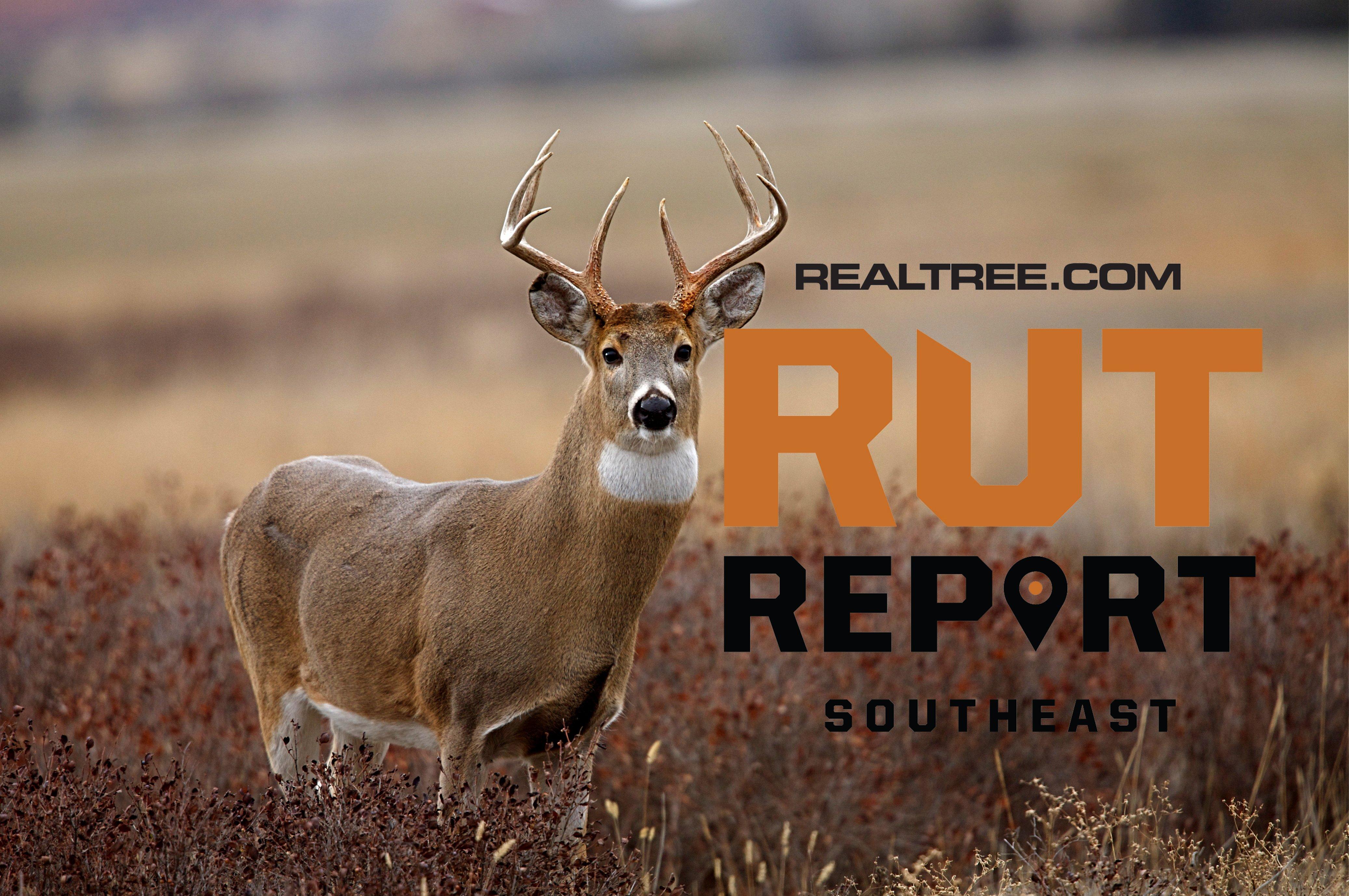 It's Lockdown in the Upper South, Pre-Rut in the Deep South - Realtree Camo