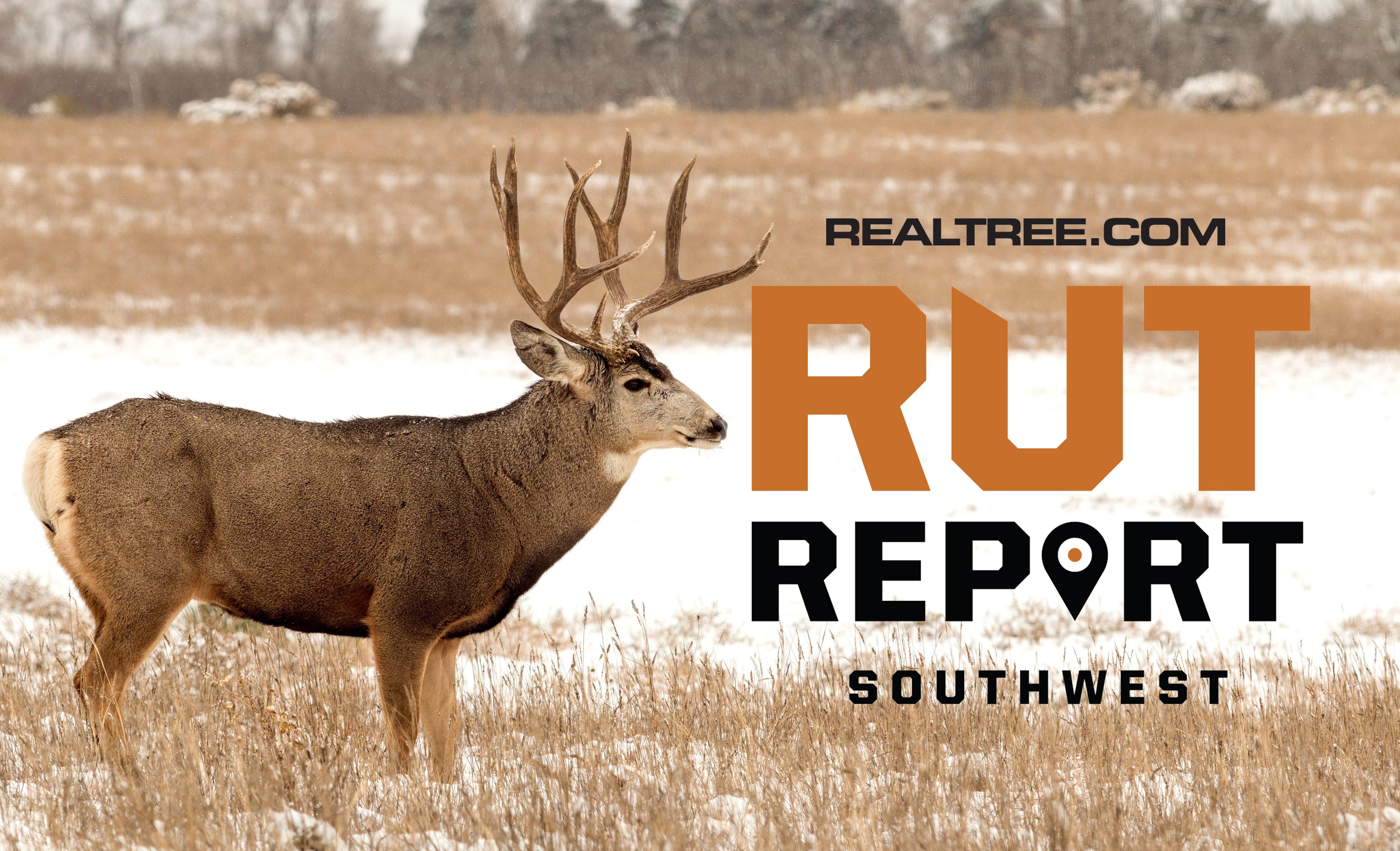 Rut Reports May be Ending, but the Rut is Not Over - Realtree Camo