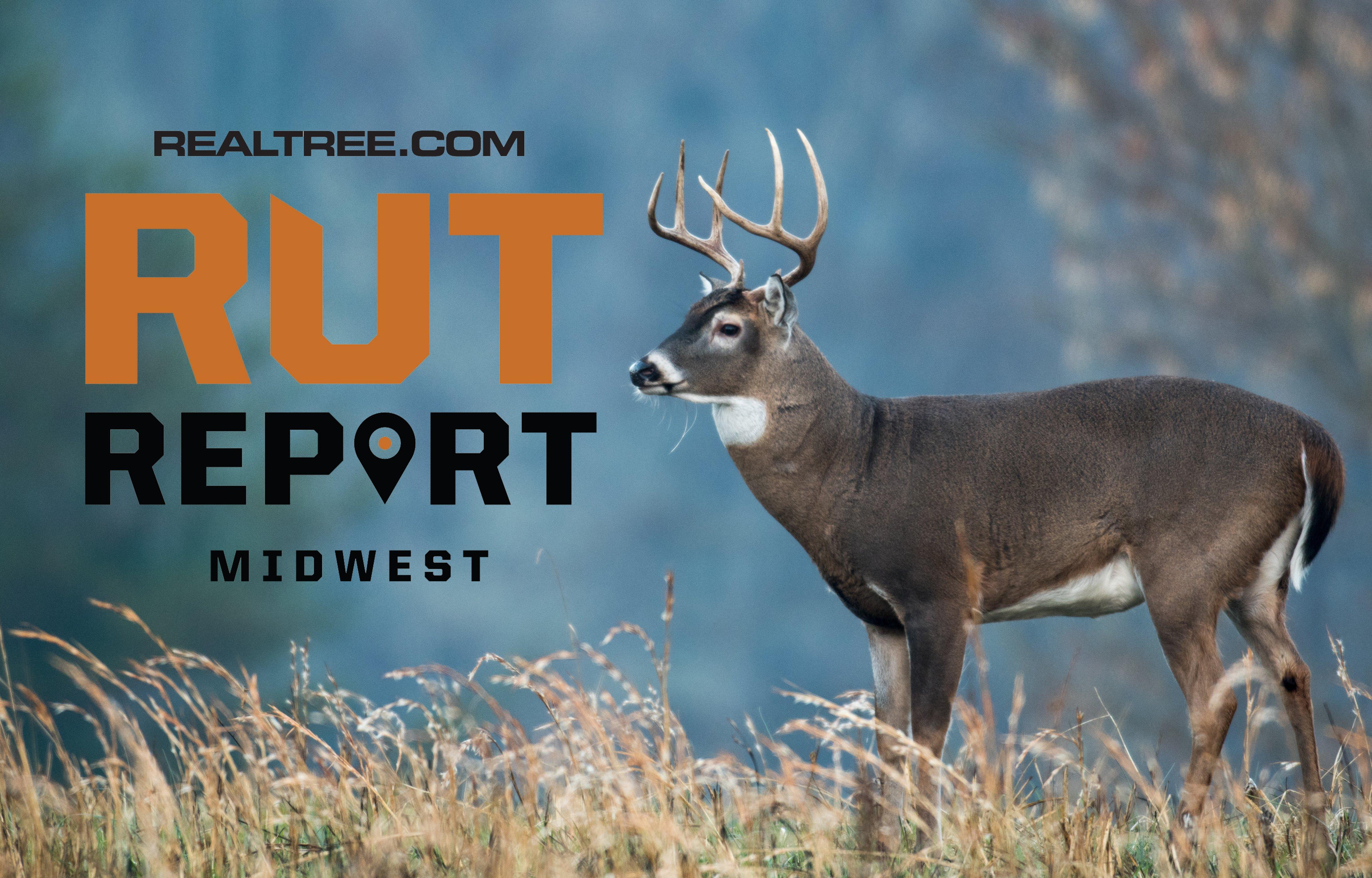 Cold Front Has Midwestern Deer on Their Feet - Realtree Camo