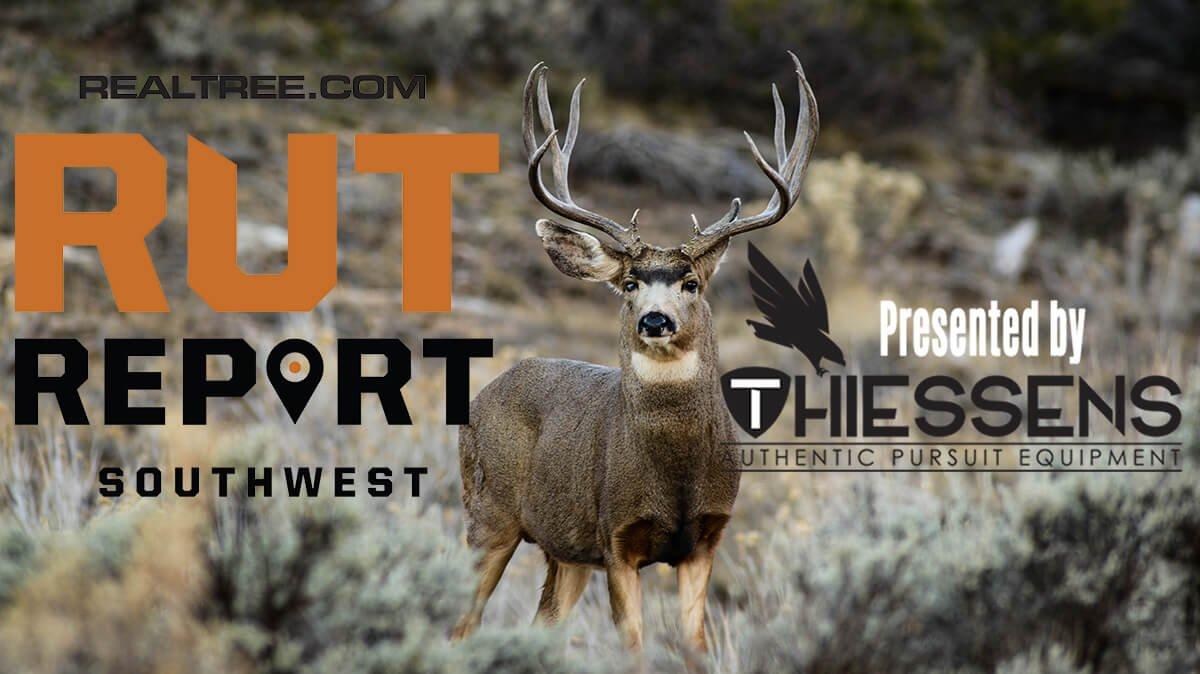 Southwest Rut Report: The Rut Is Kicking Off - Realtree Camo