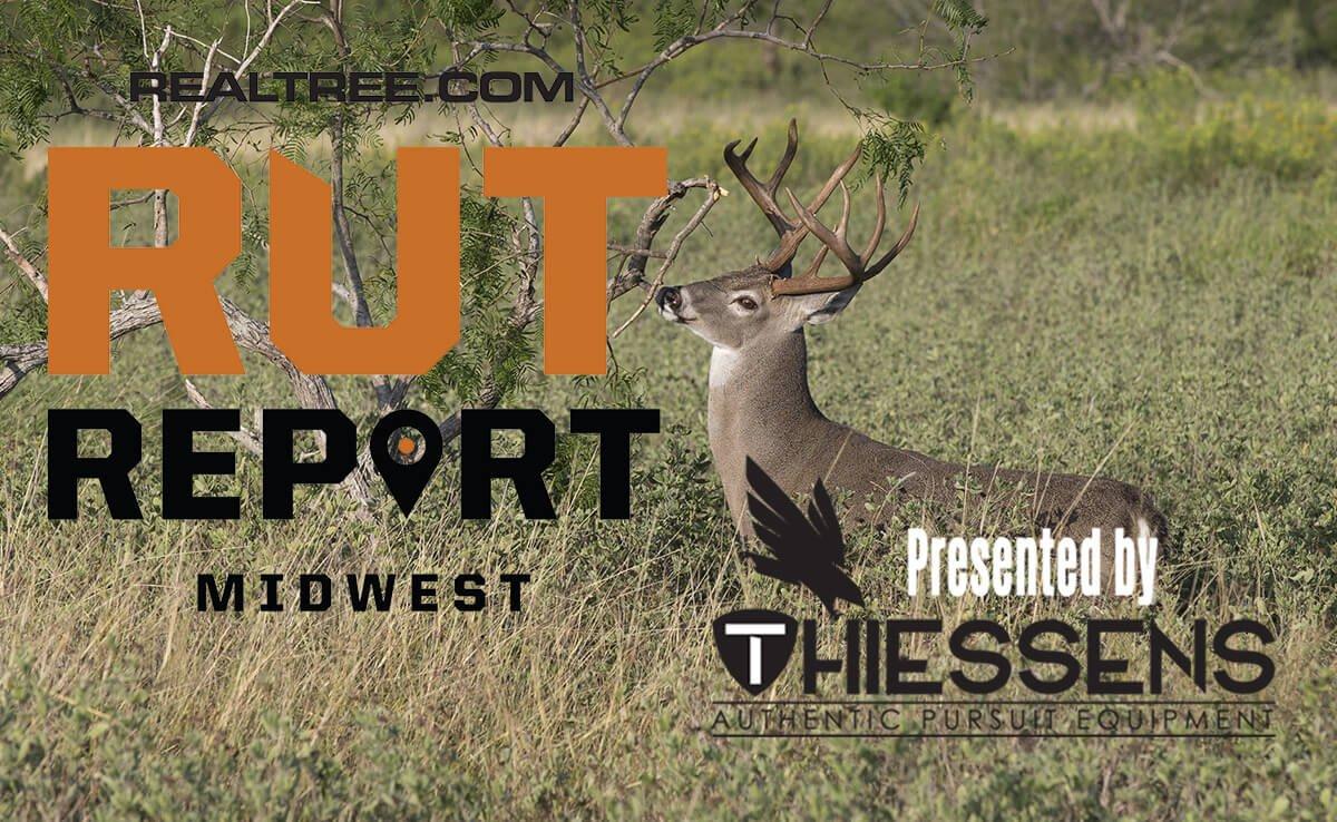 Midwest Rut Report: The Rut Is About to Bust Loose - Realtree Camo