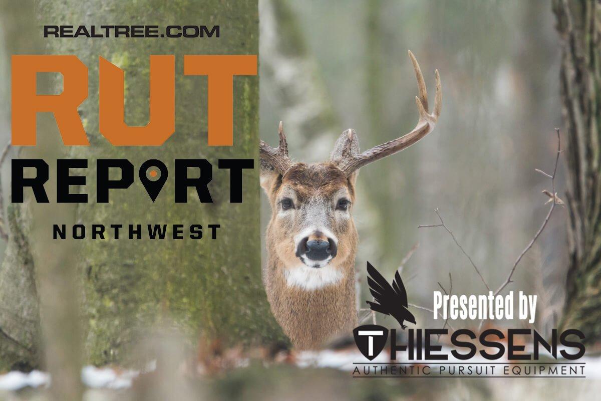 Northwest Rut Report: The Rut Is on Fire - Realtree Camo