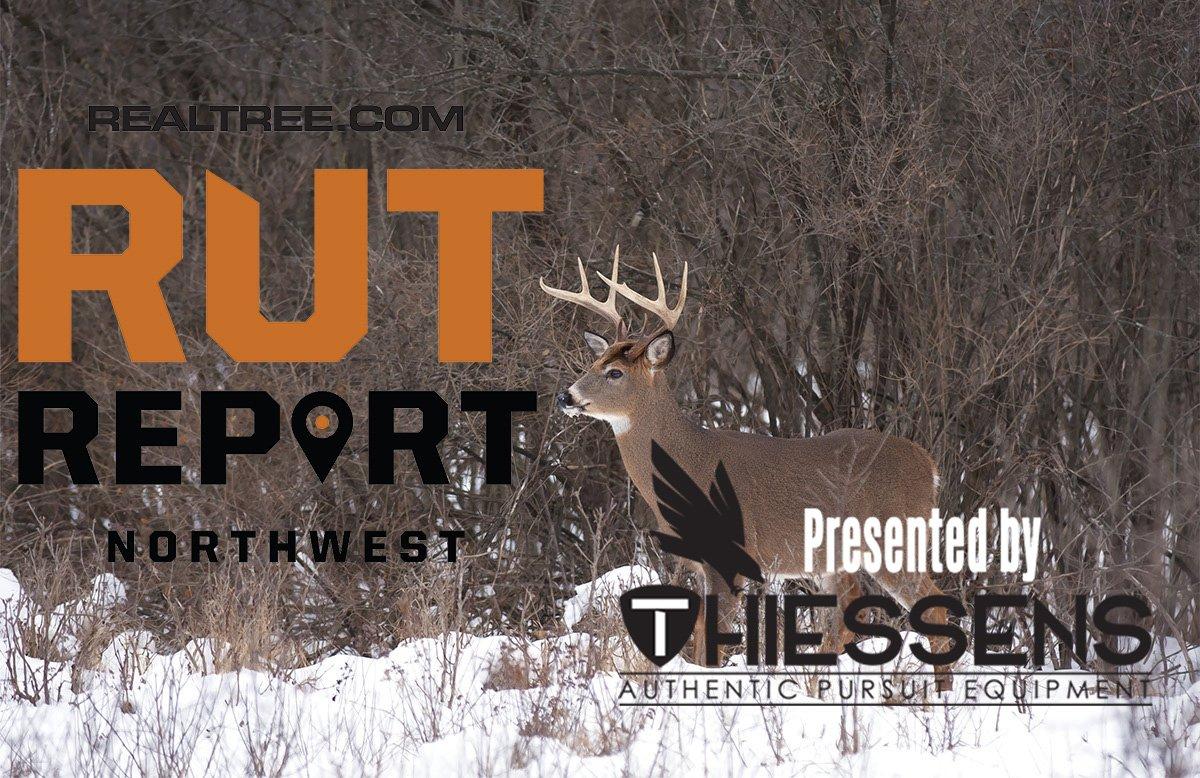 Northwest Rut Report: The Rut Is Coming to a Close - Realtree Camo