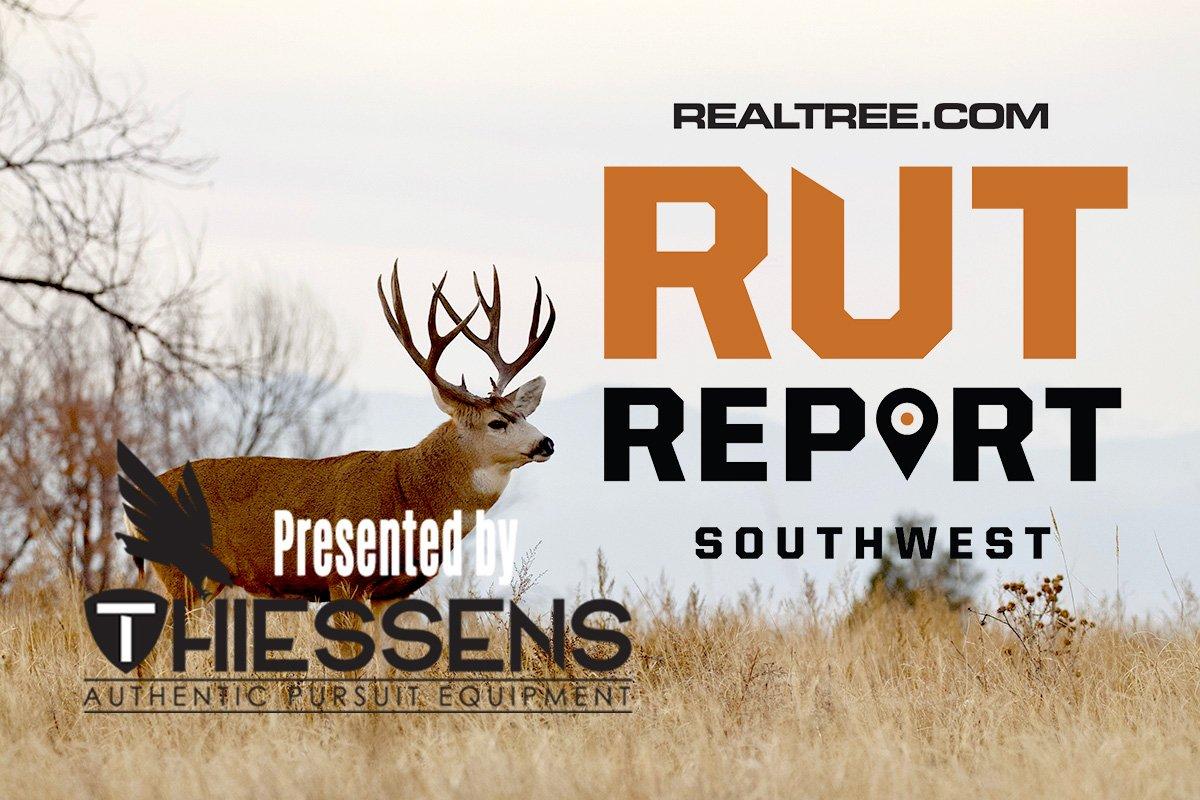Southwest Rut Report: Deer Season Ends - Realtree Camo