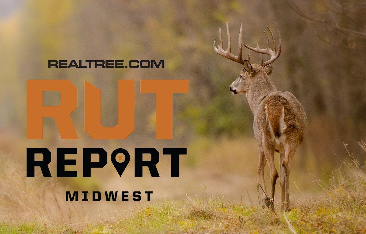 Midwest Rut Report: The Big Boys Are Cruising - Realtree Camo