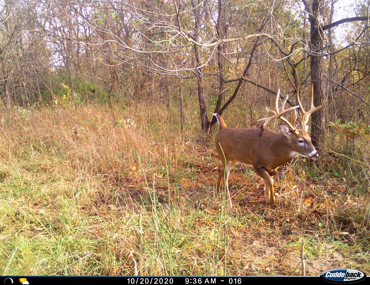 A 3-Year Pursuit Ends with a Massive Nontypical - Realtree Camo