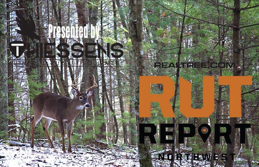 Northwest Rut Report: The Rut Is Here - Realtree Camo