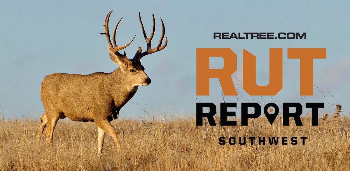 Southwest Rut Report: Mule Deer Rut Winding Down in Places - Realtree Camo