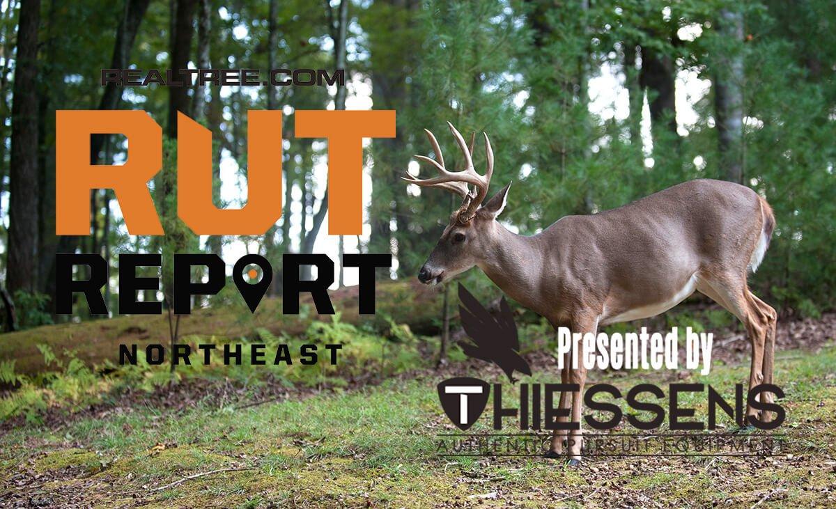 Northeast Rut Report: The Rut Is About to Pop - Realtree Camo