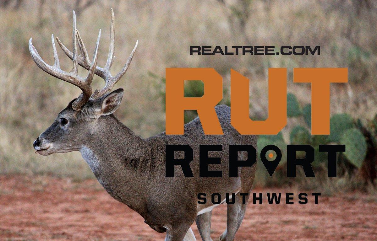 Southwestern Rut Activity Heating Up - Realtree Camo