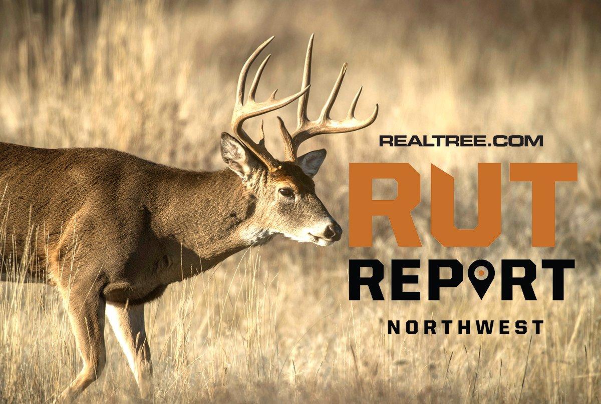 As One Rut Winds Down, Hunters Look Toward Another in the Northwest ...