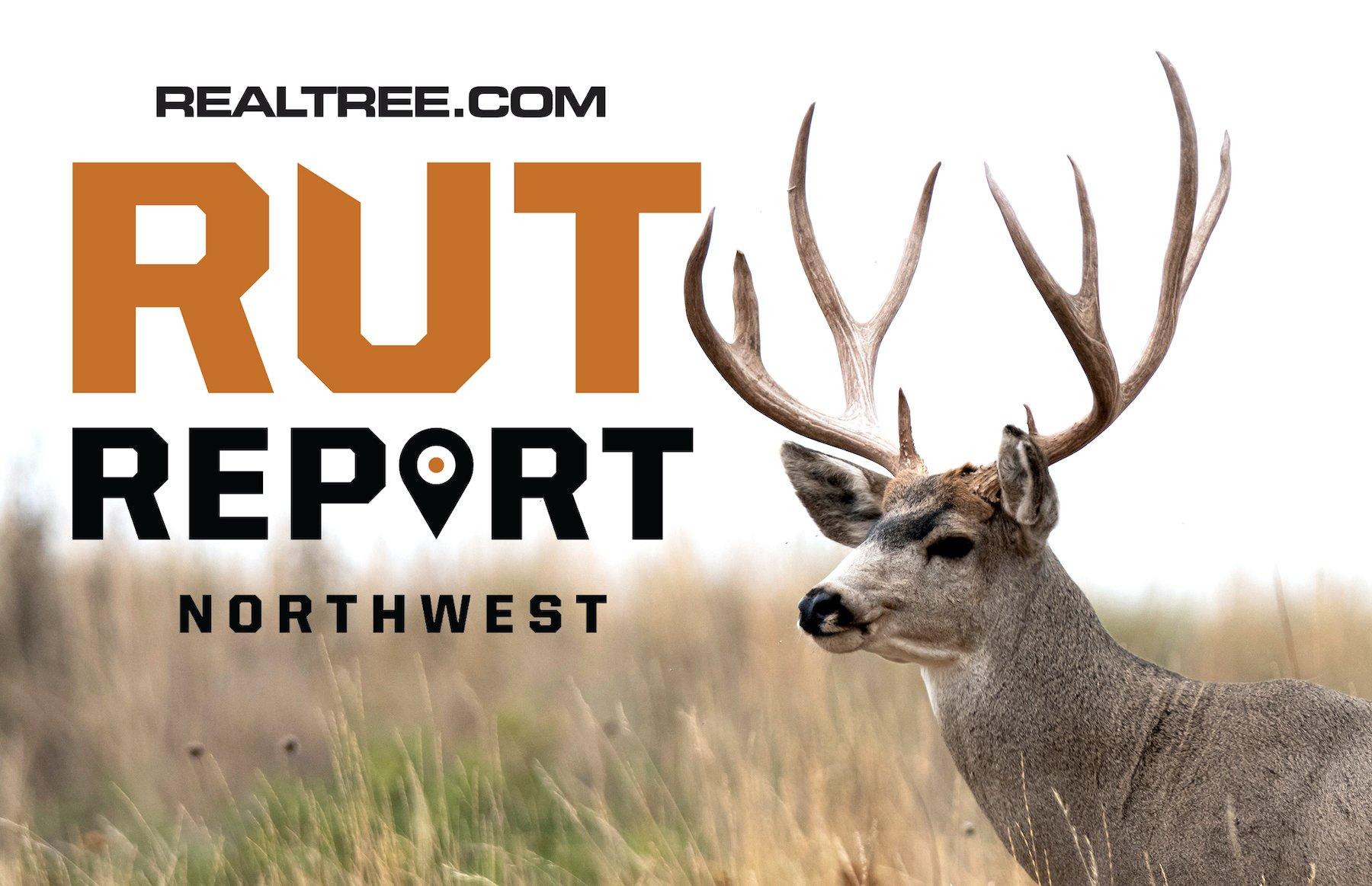 Northwest Rut Report: Peak Breeding Is Coming to a Close and So Is ...