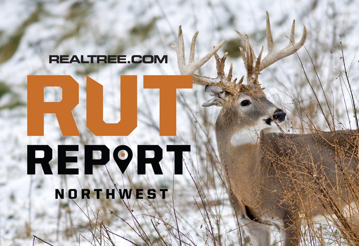 Northwest Rut Report: Rut Has Gone Cold, Weather Still Hot - Realtree Camo