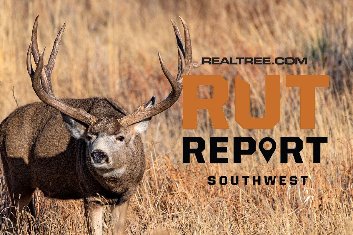 The Post-Rut Takes Over in the Southwest - Realtree Camo
