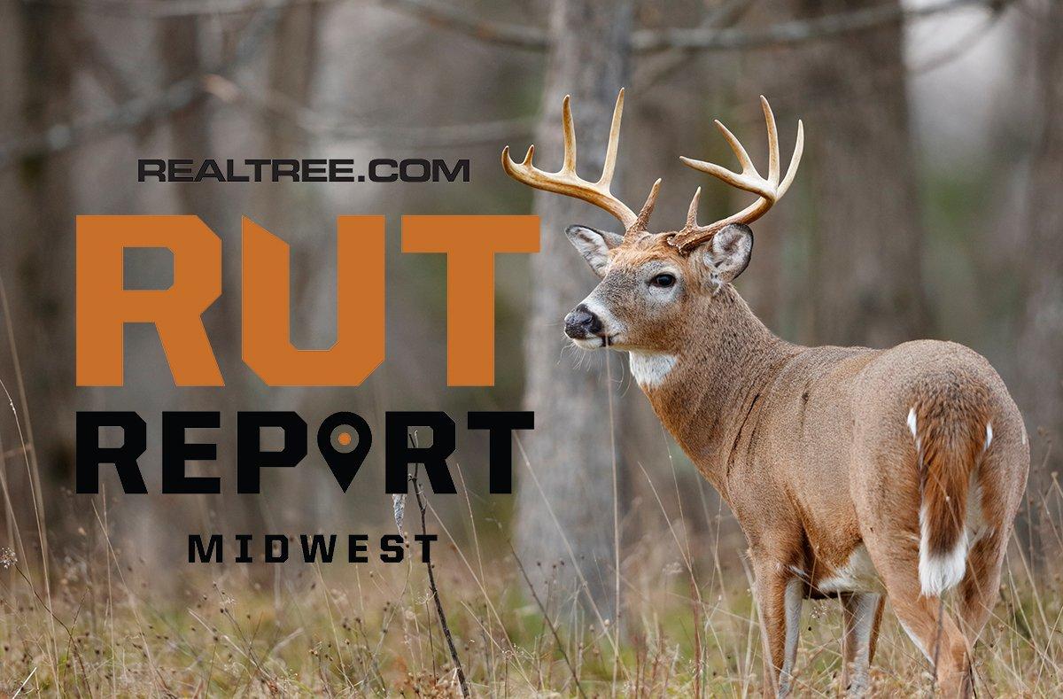 Warm Weather Slowing Movement, But Midwest Rut Is Here - Realtree Camo