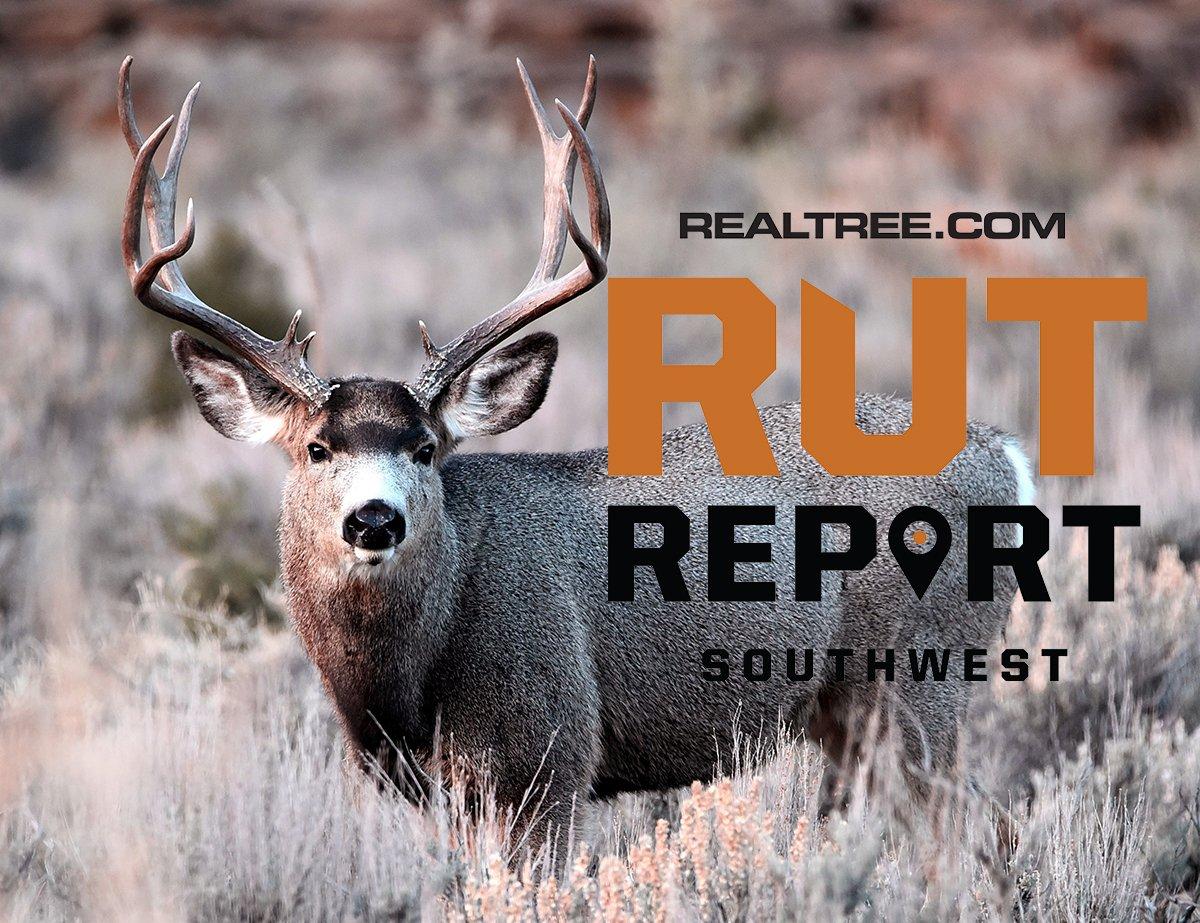 Bucks Slowly Transitioning to Fall Patterns in Southwest - Realtree Camo