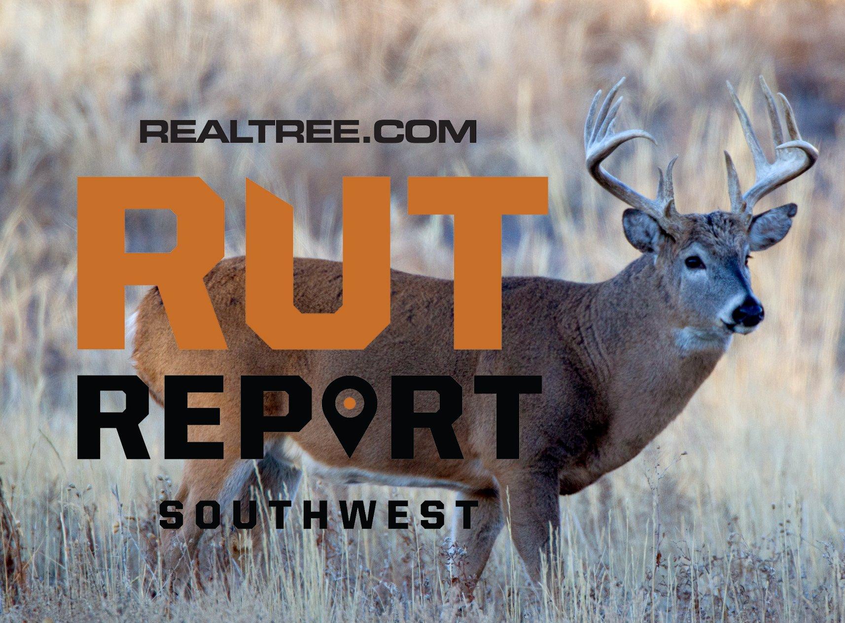 Southwest Rut Report: Rut Picking up in Arizona, New Mexico, South ...
