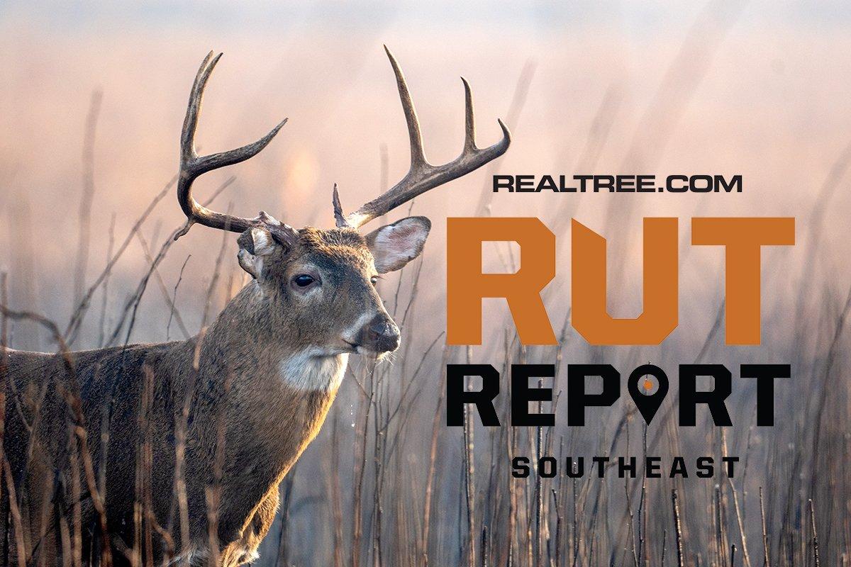 Southeast Rut Report: Rut Storm on the Horizon for Much of the South ...
