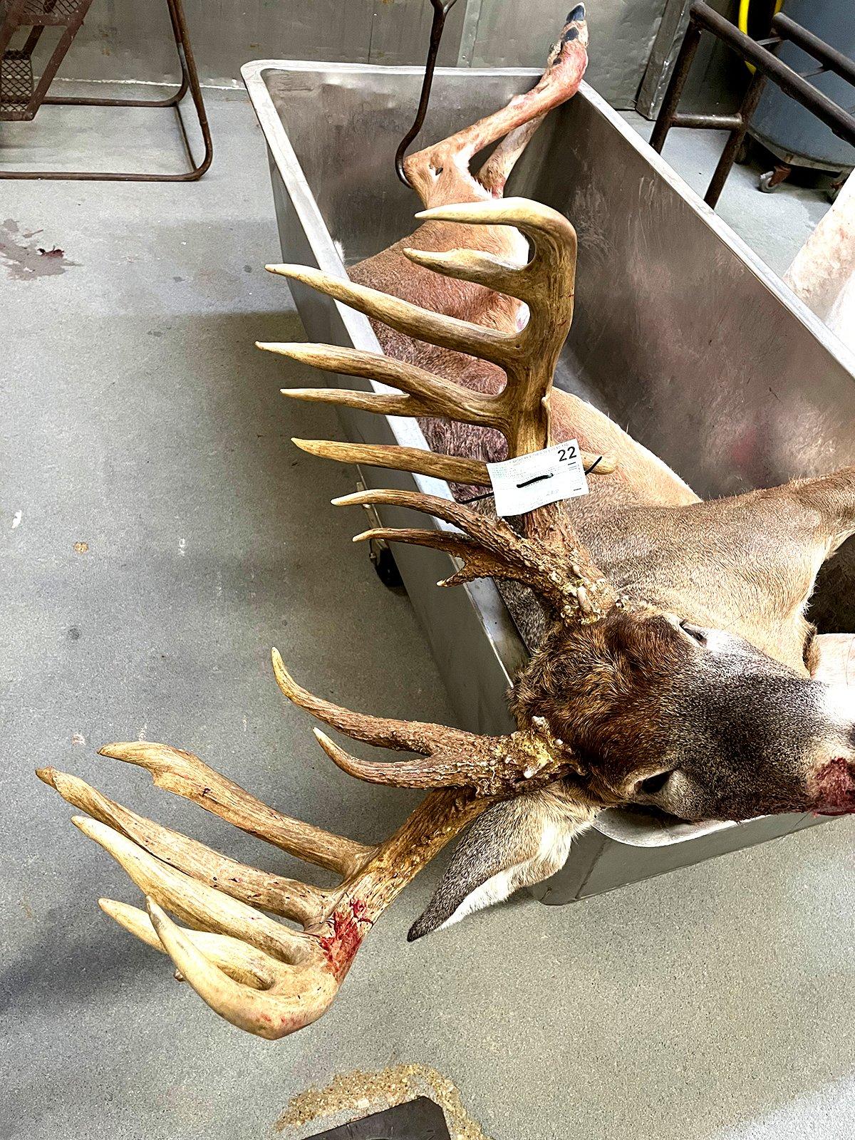 Illinois Bowhunter Bags Giant 22-Point Nontypical - Realtree Camo