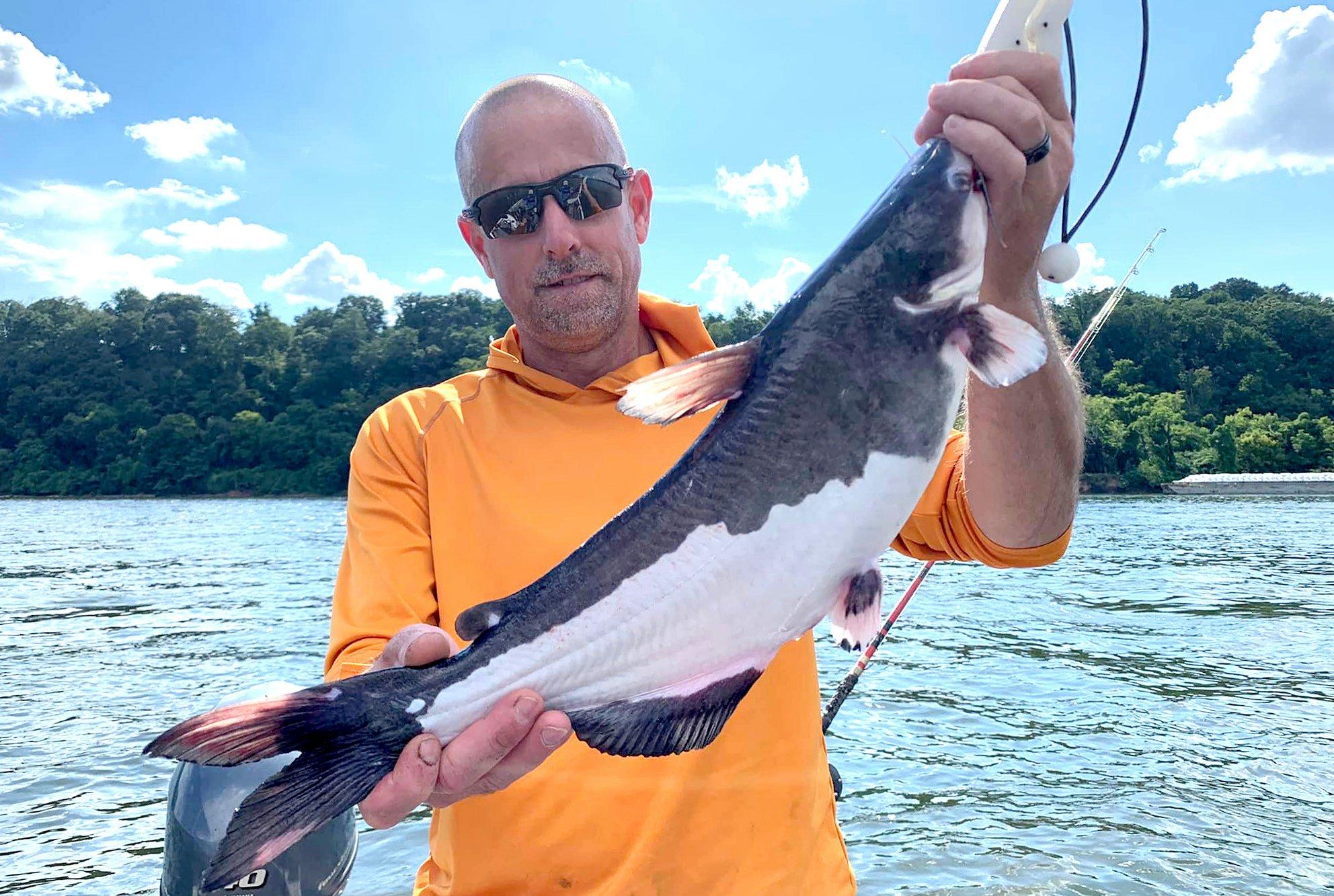 What’s Up With Piebald Catfish in the Tennessee River? - Realtree Camo