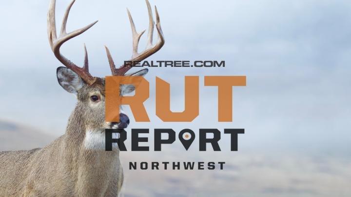 Northwest Deer Enter the Post-Rut Phase - Realtree Camo