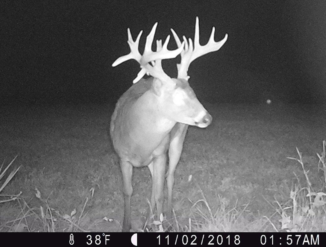 Woman Arrows Huge One-Eared Non-Typical Buck - Realtree Camo