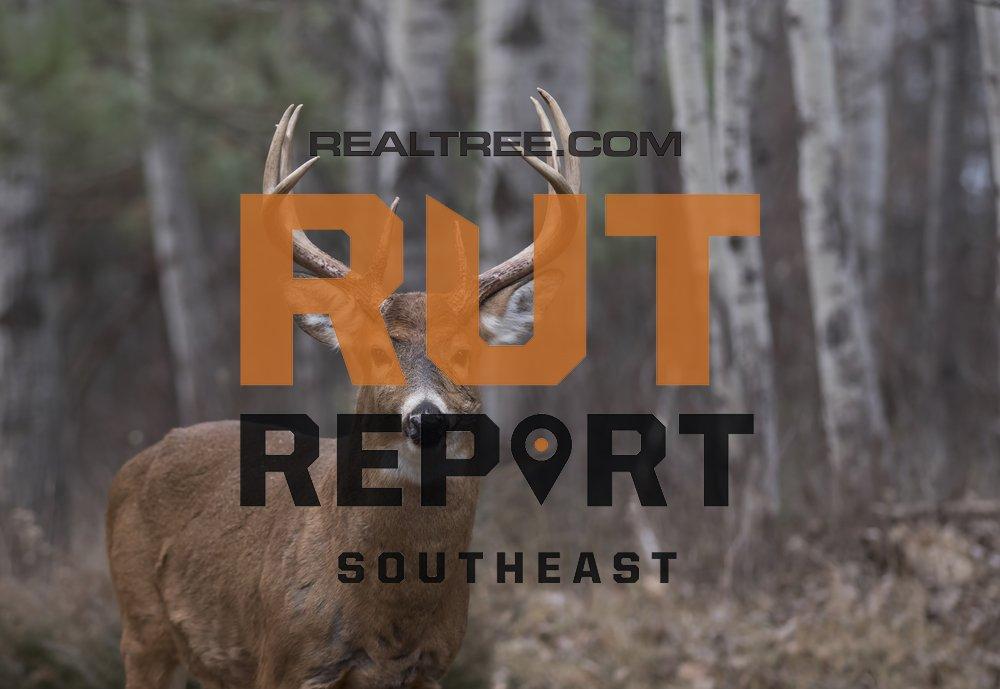 Southeast Rut Report: The Rut Is Winding Down for Remaining Southern ...