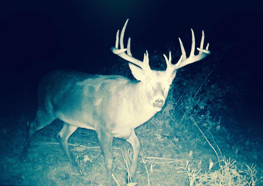A Massachusetts Monster Buck - Realtree Camo