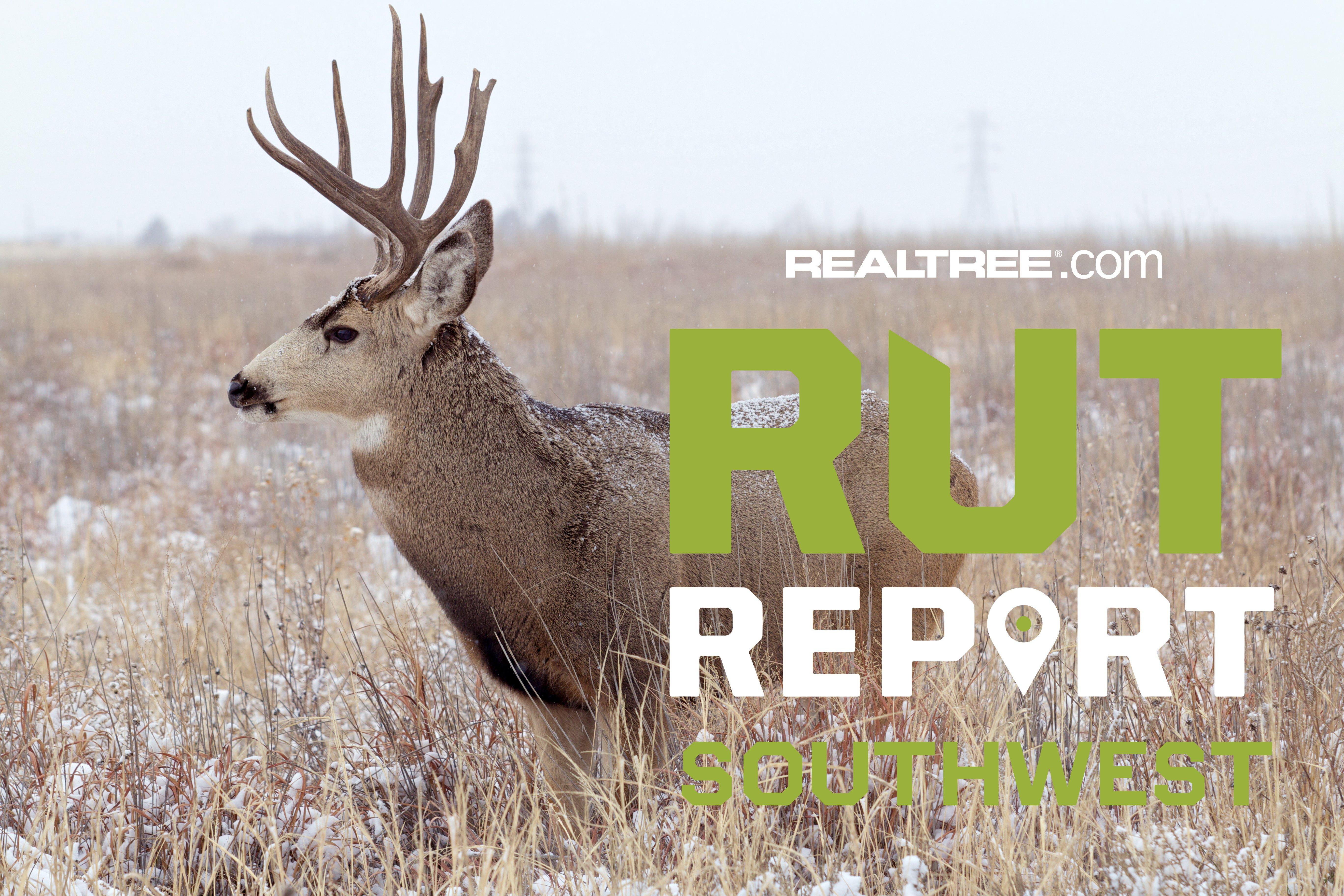 Southwest Rut Report Season Recap: Rut Consistency Varied by Region ...