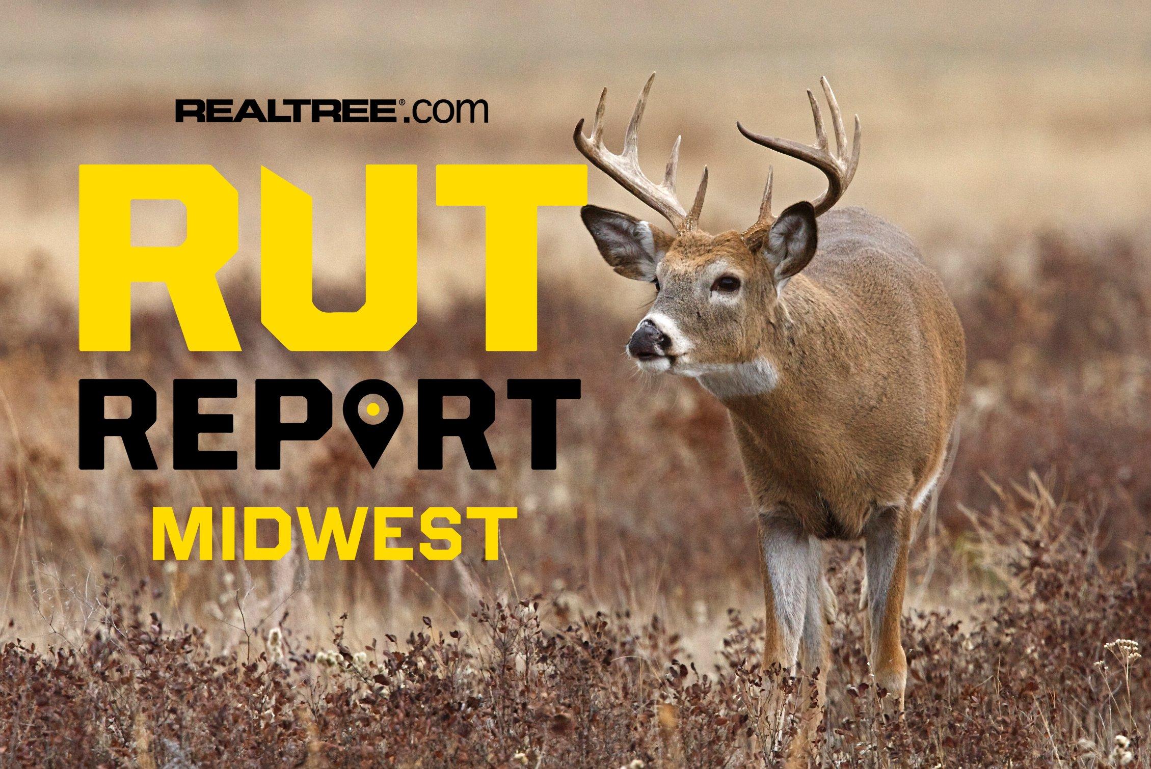 Midwest Rut Report, Week 5: The Action's Heating Up Daily - Realtree Camo