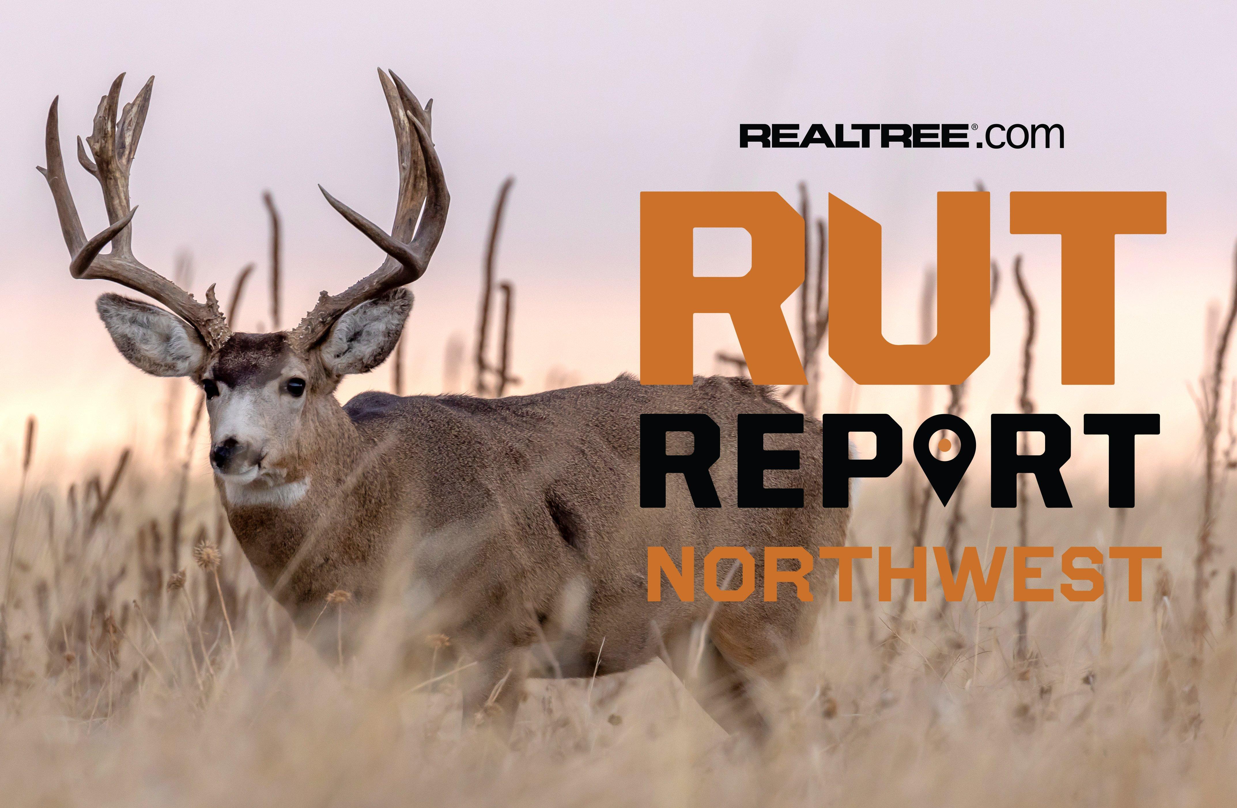 Realtree's Deer Hunting Forecast | Thanksgiving Week - Realtree Camo