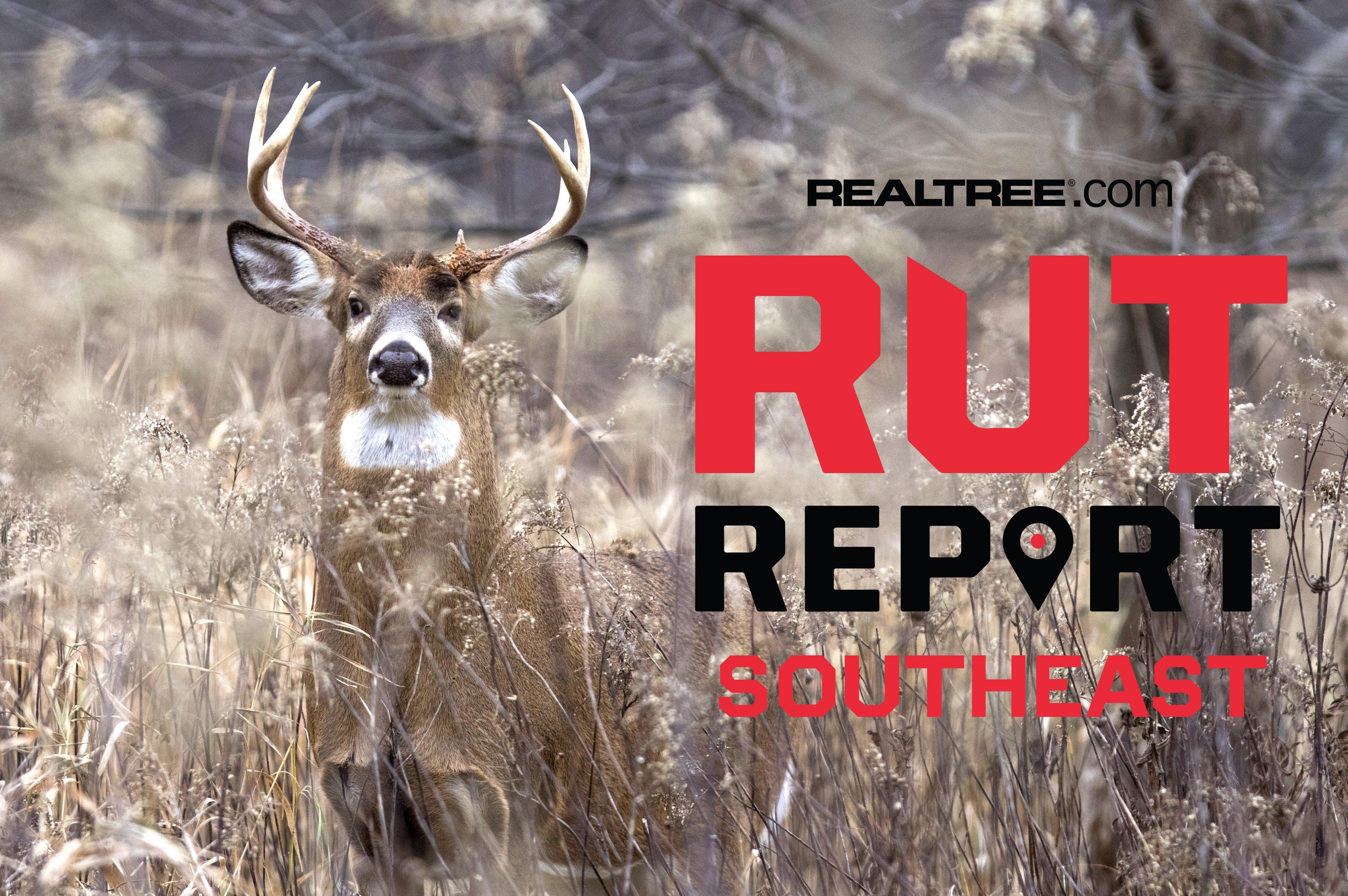 Southeast Rut Report: Rut Intensifies Across the Southeast as Weather ...