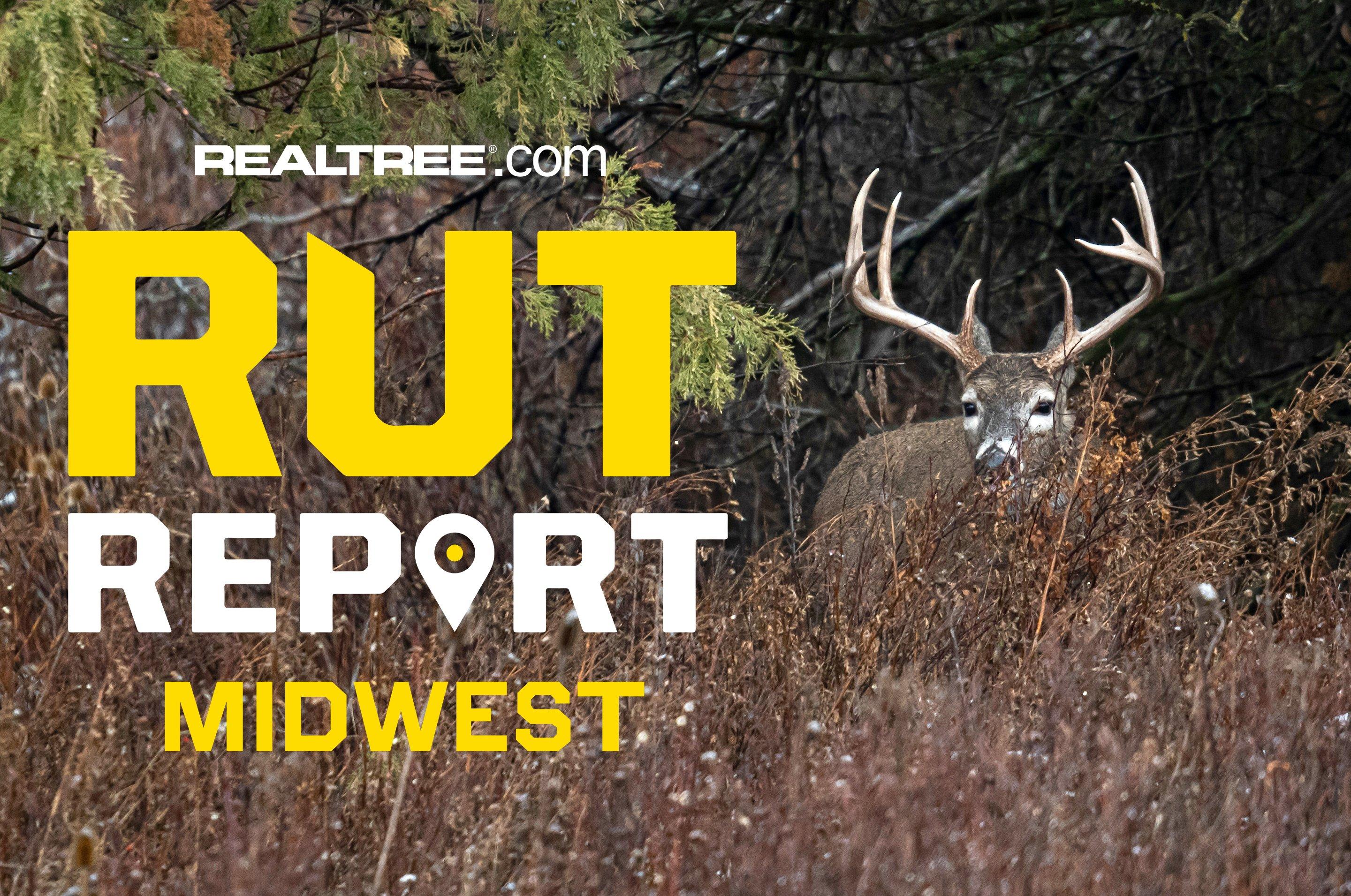 Midwest Rut Report: Cold Front Gets Locked-Down Bucks Moving - Realtree ...
