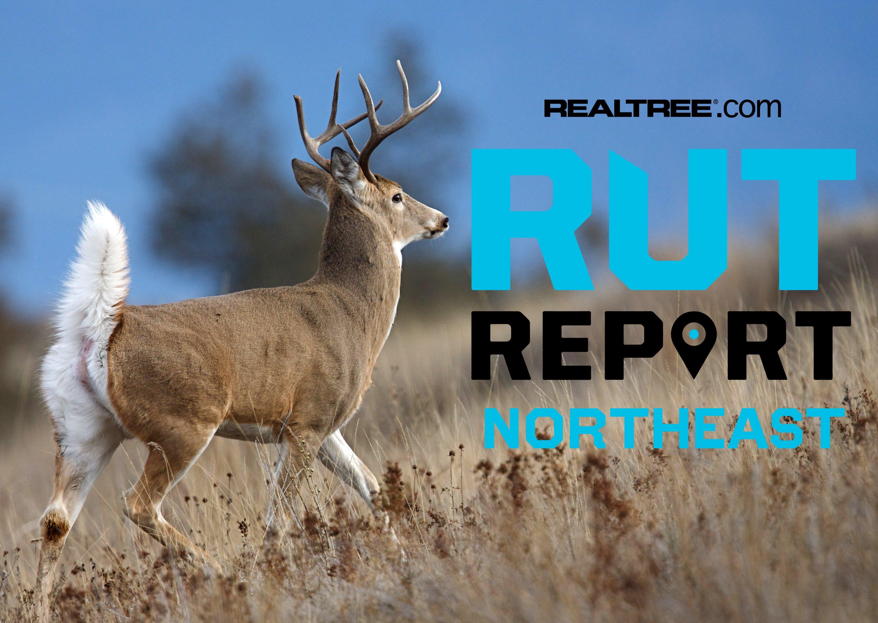 Northeast Rut Report Season Kickoff: A Quick Rewind and Hard Pivot ...