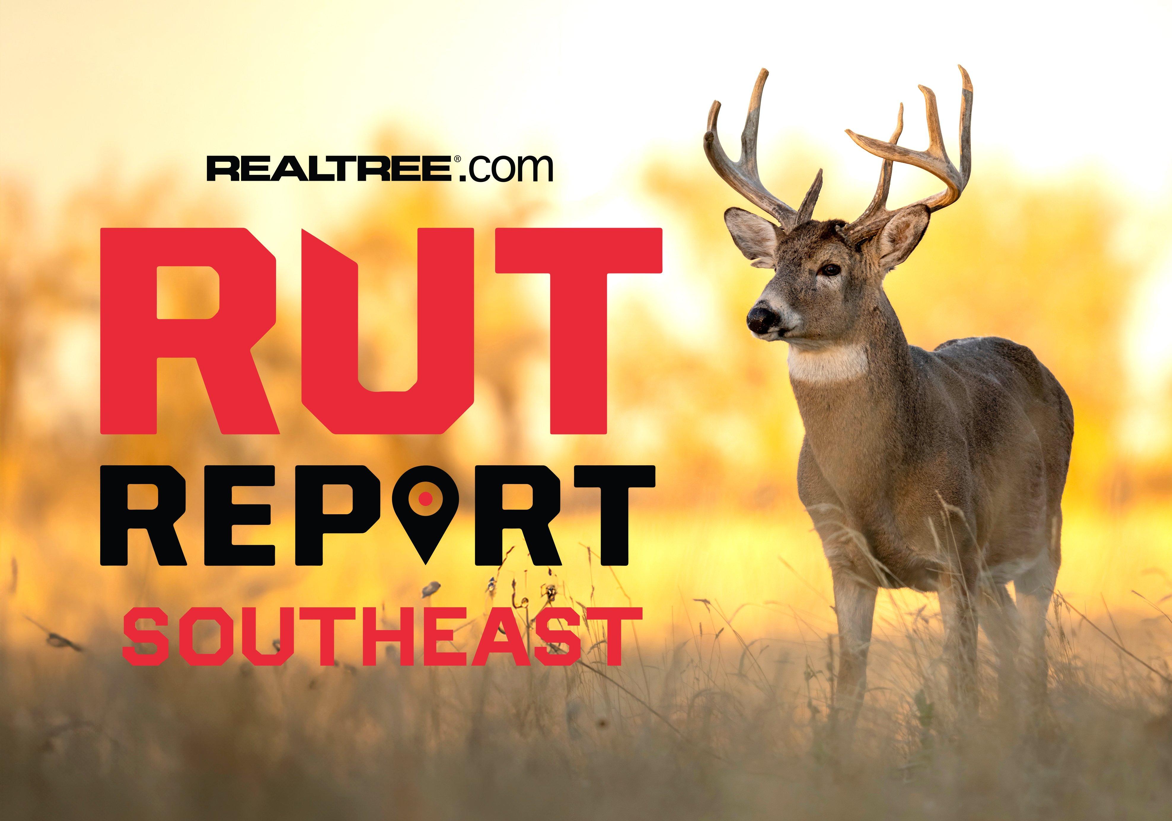 Southeast Rut Report: Rut Activity Heating Up Across the Region ...