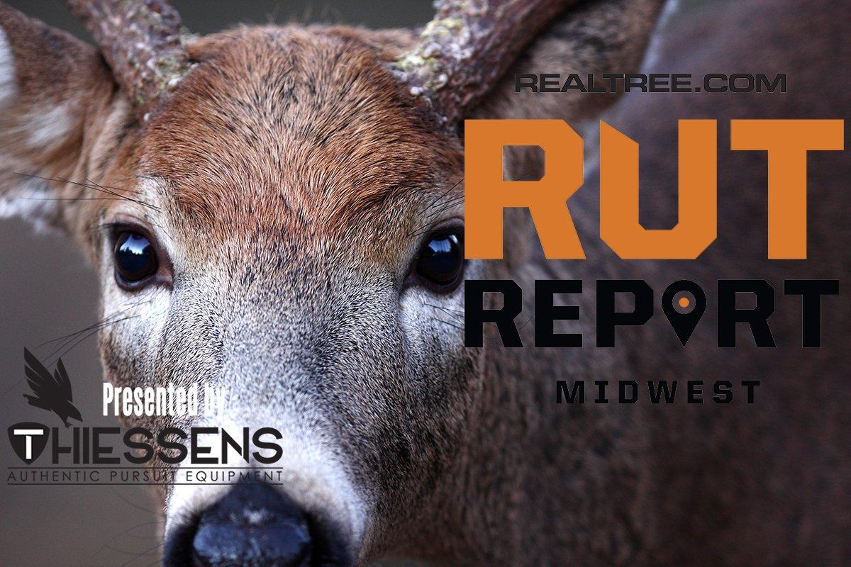 Midwest Rut Report: Cash in on Coming Cold Front - Realtree Camo