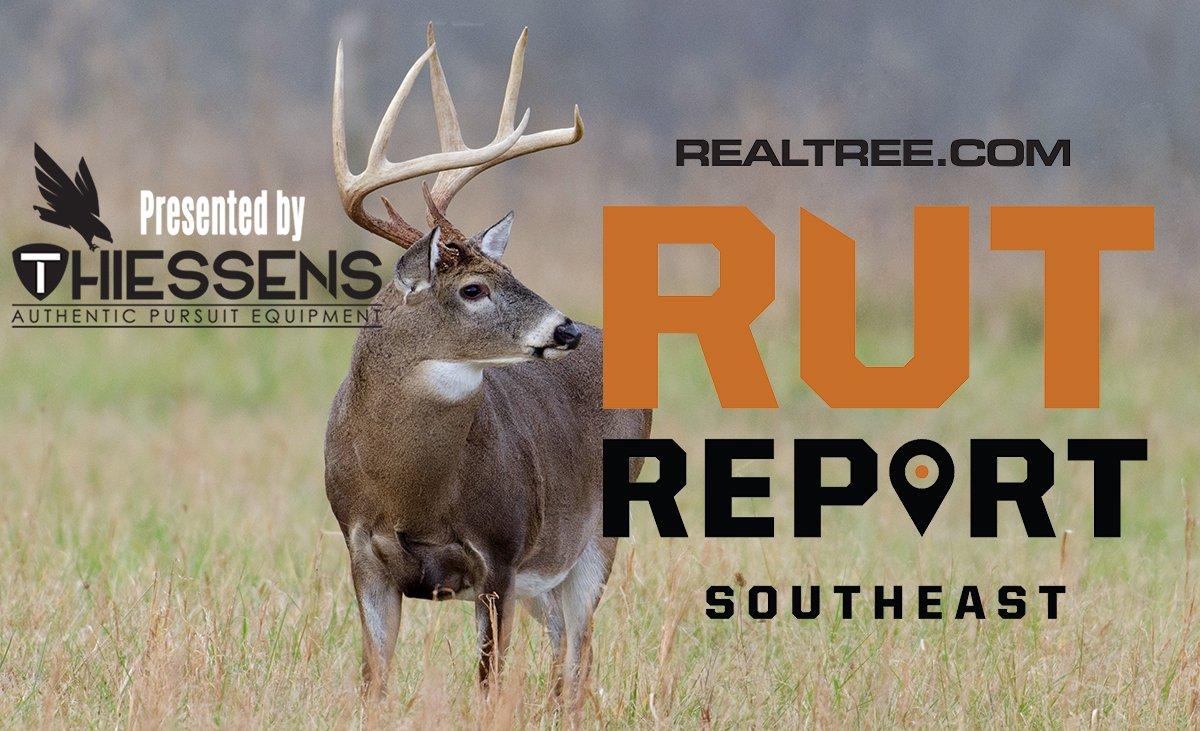 Southeast Rut Report: Expect Major Deer Movement with Latest Cold Front ...